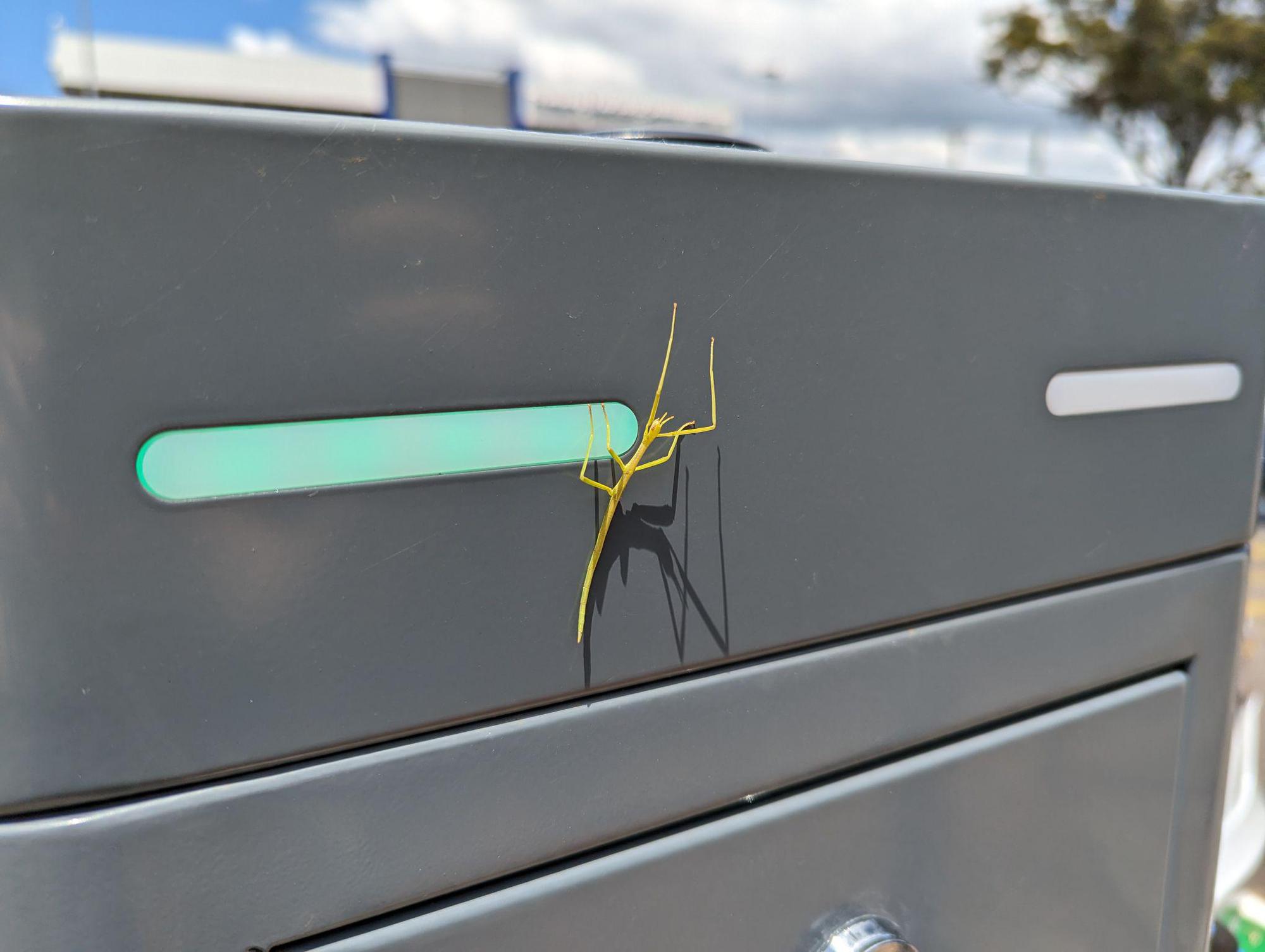 Camden Council - Narellan Library Car Park | Narellan, NSW | EV Station