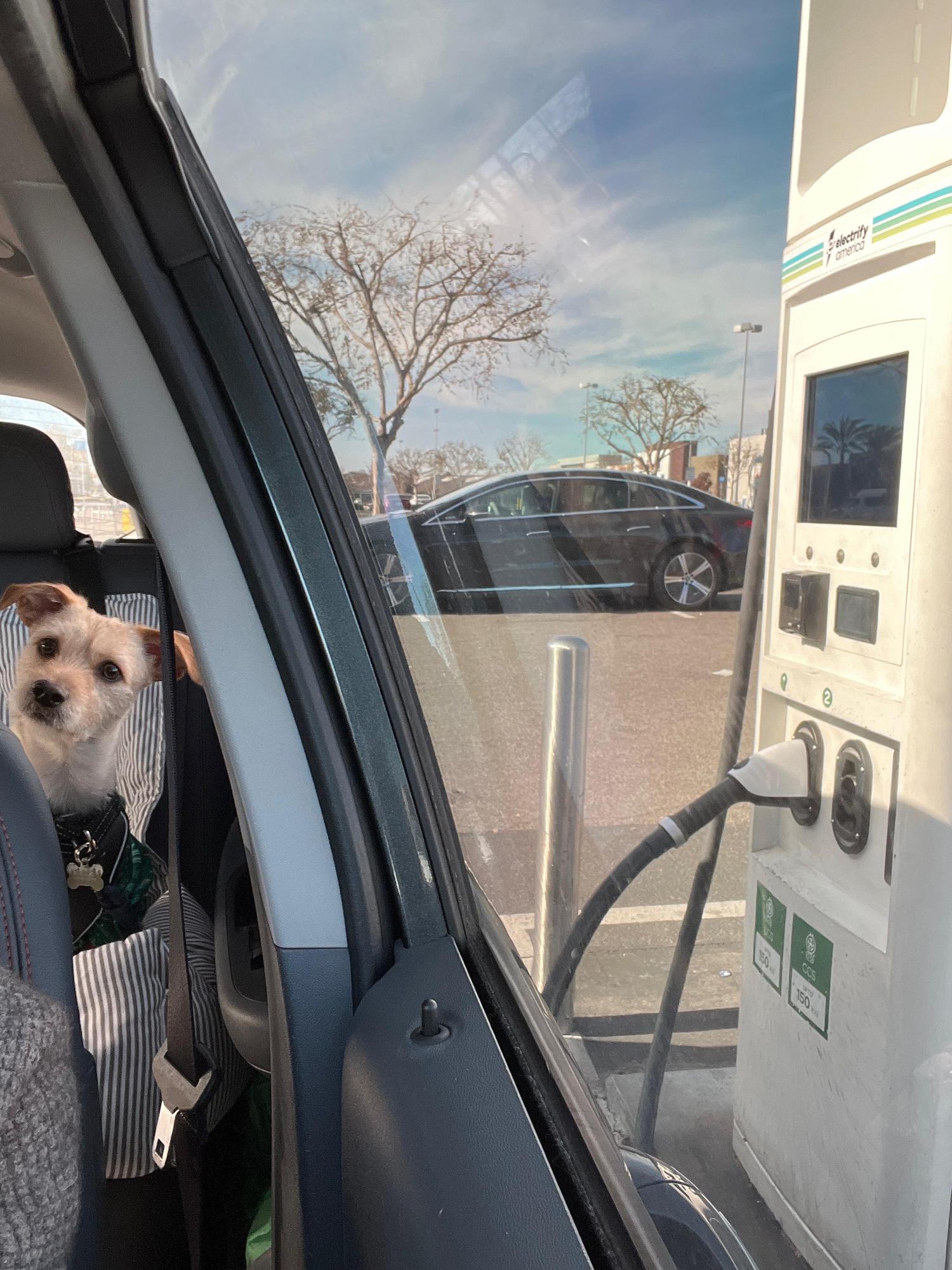 Walmart Supercenter Downey | Downey, CA | EV Station