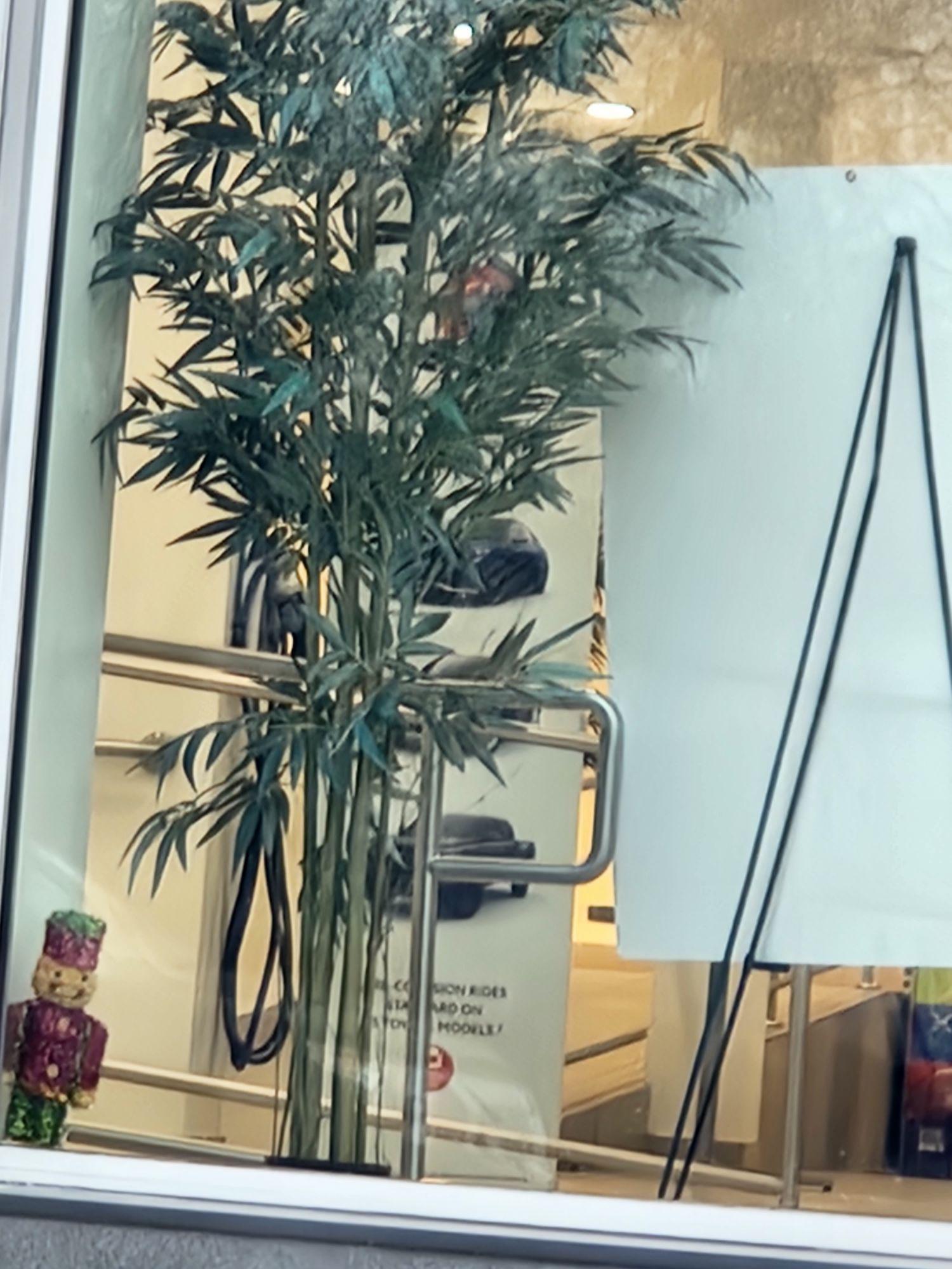 Bay Ridge Toyota | 6401 6th Ave, Sunset Park 11220 | EV Station