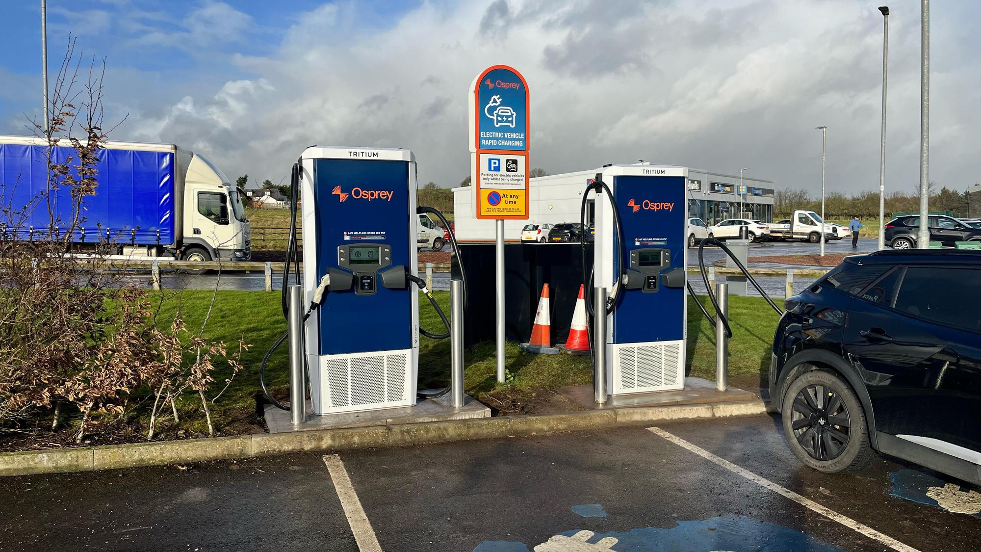 Red Squirrel | Ashenyards Park, Stevenston, KA20 3DA, United Kingdom ...