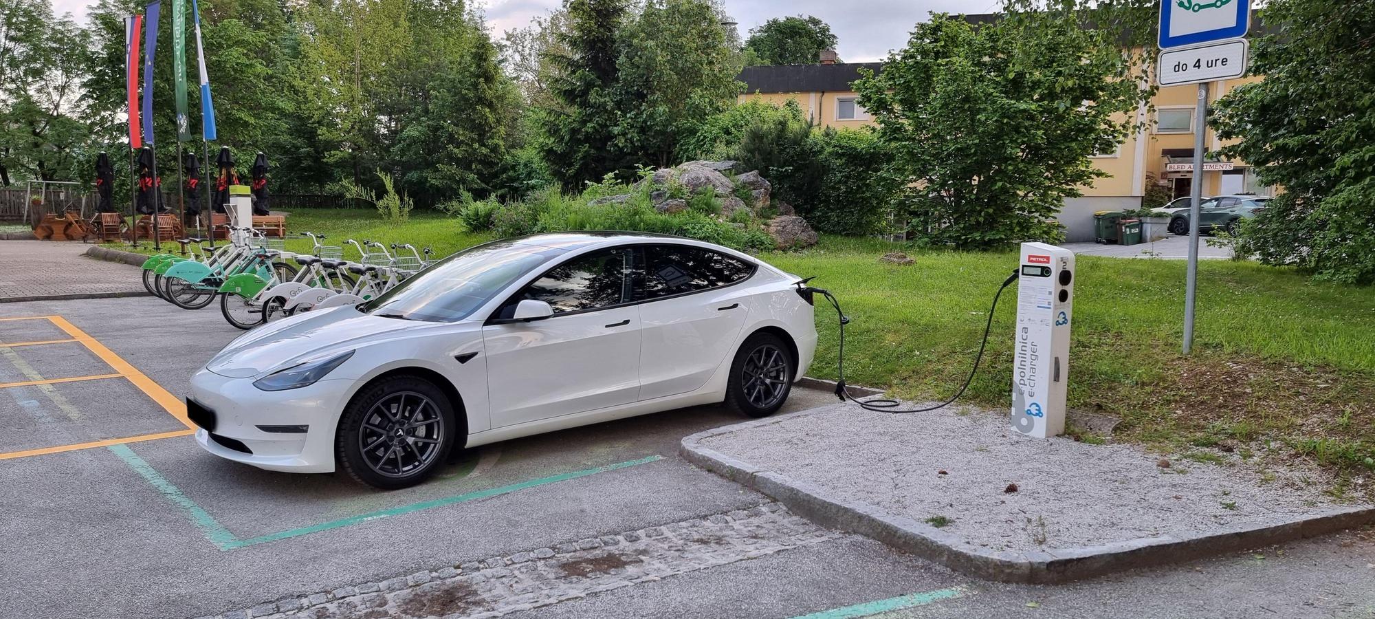 Petrol d.d., Slovenia, TRIGLAVSKA ROŽA - BLED | 27 LJUBLJANSKA CESTA ...