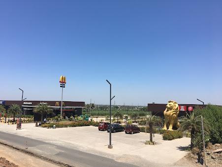 McDonald's Viraj Junction | Koganoli, KA | EV Station