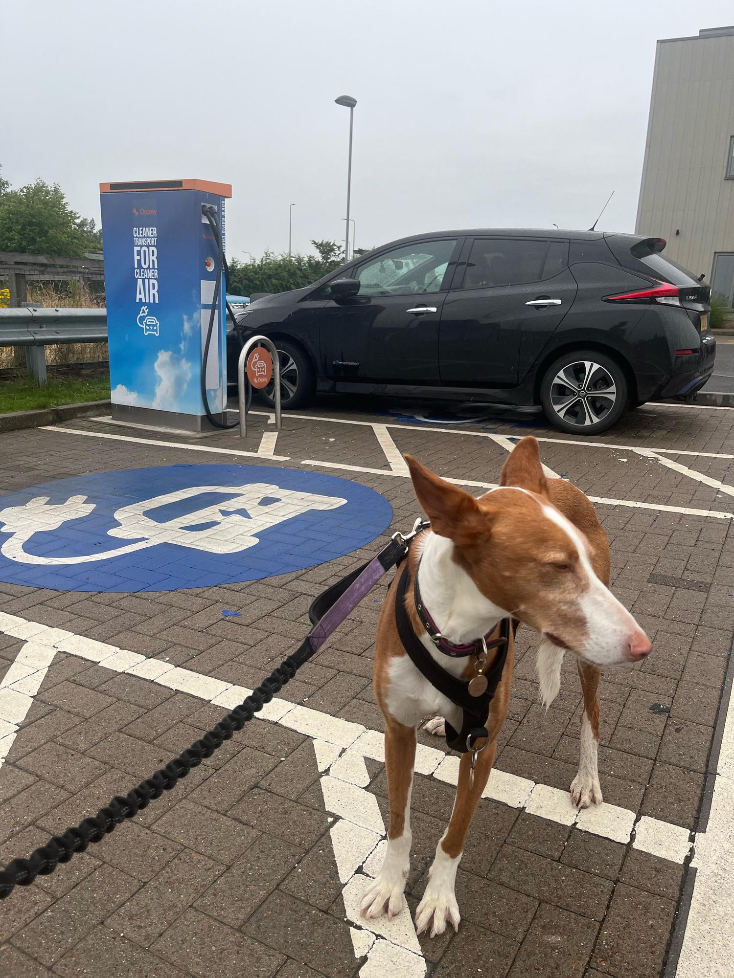 The Spiral Weave | Chapelton Drive, Kirkcaldy, KY2 6FF, UK | EV Station