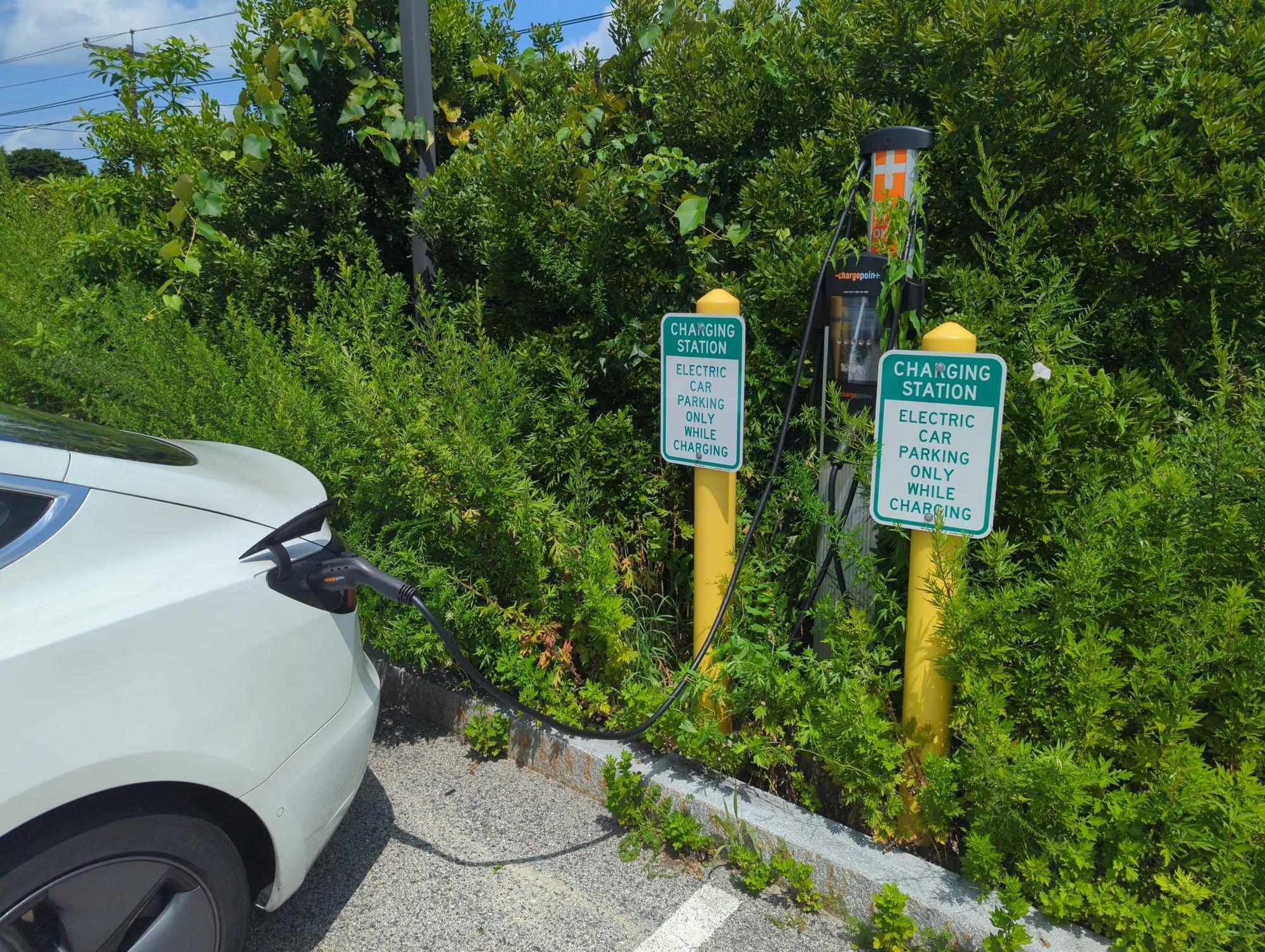 Mass Audubon's Broad Meadow Brook Wildlife Sanctuary | Worcester, MA ...