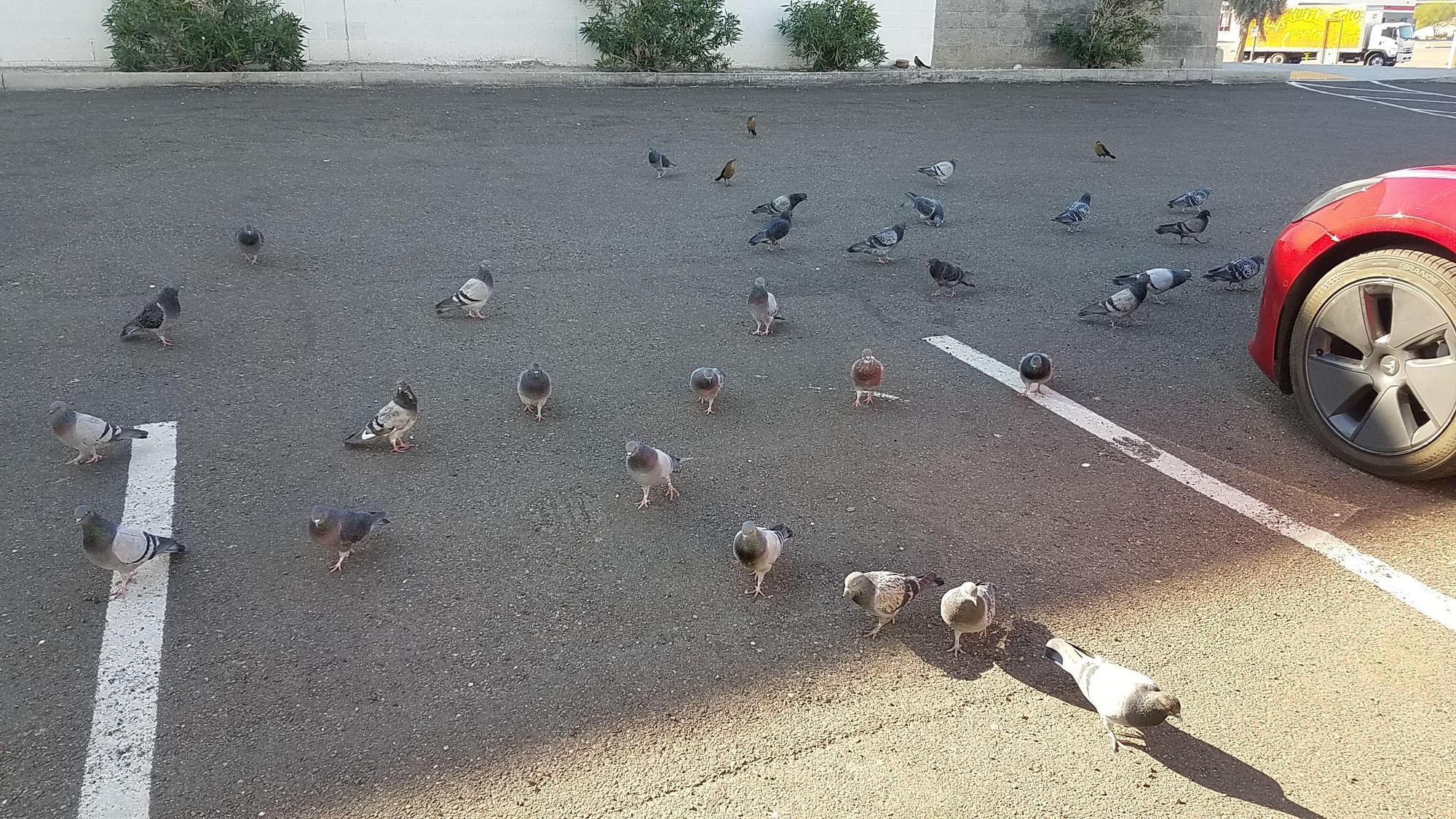 Needles Town Center | Needles, CA | EV Station