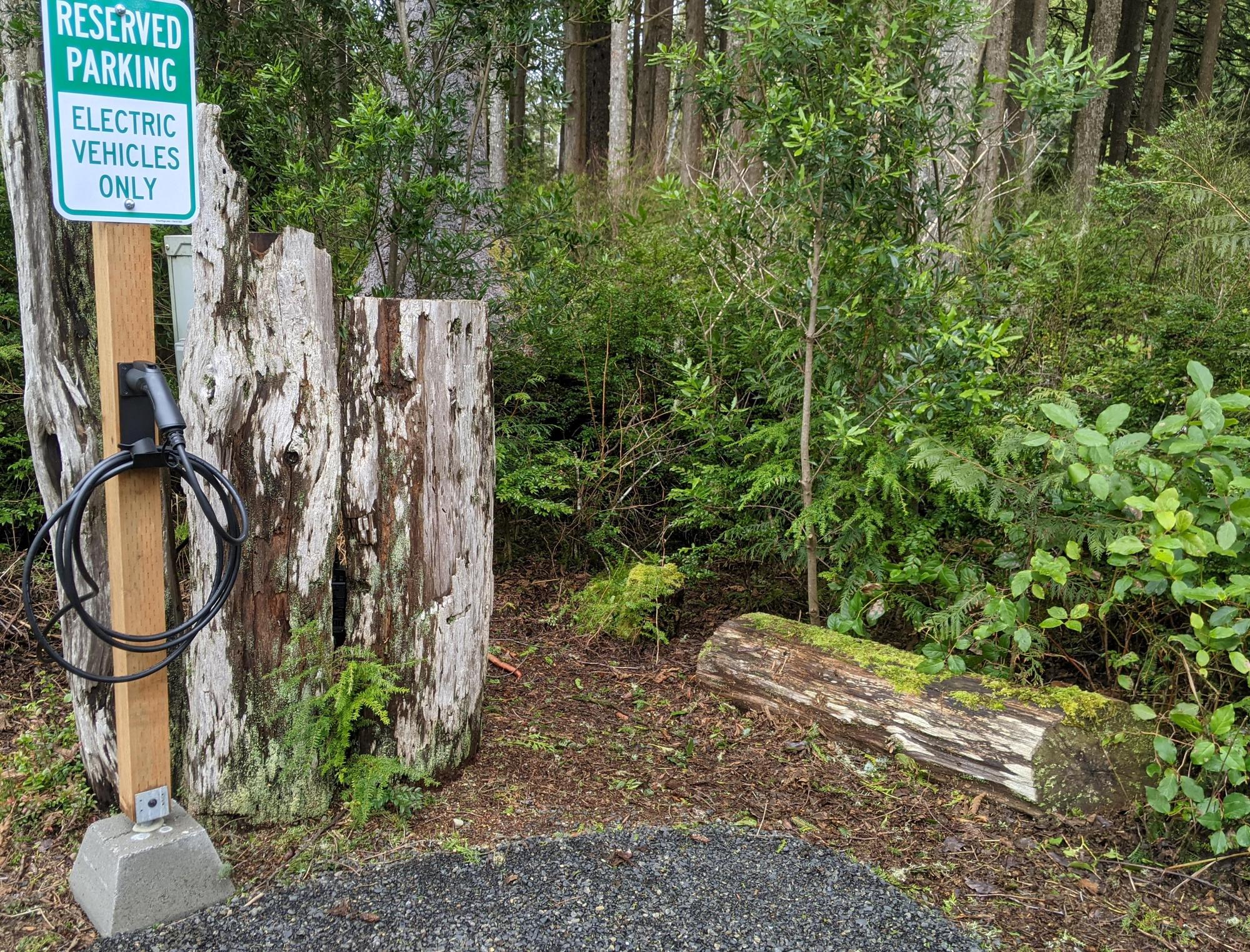 Moclips Ocean House https://airbnb.com/h/oceanhouse | Moclips, WA | EV ...