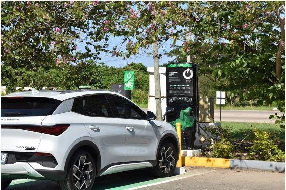 Evergo-DC LFA Country Store | Richmond, Llanddovery, St. Ann, Jamaica ...