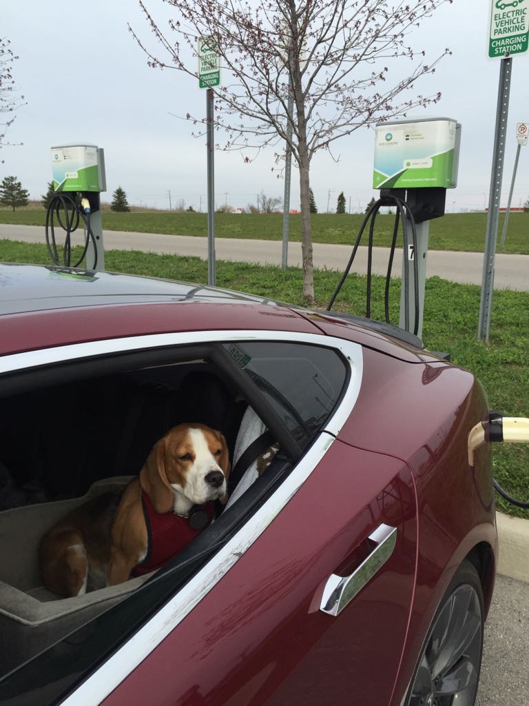 Harry Howell Arena | Hamilton, ON | EV Station