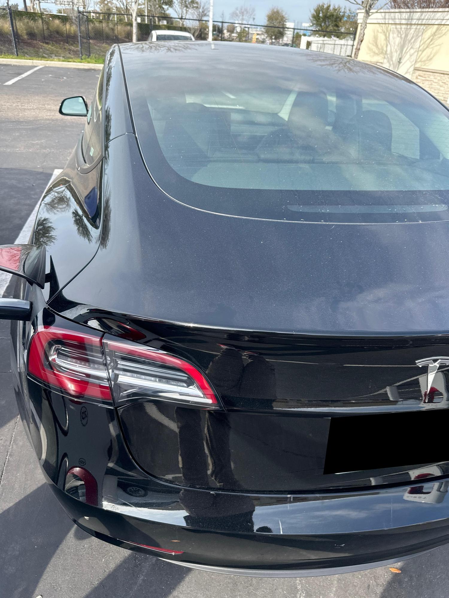 Wawa | New Port Richey, FL | EV Station