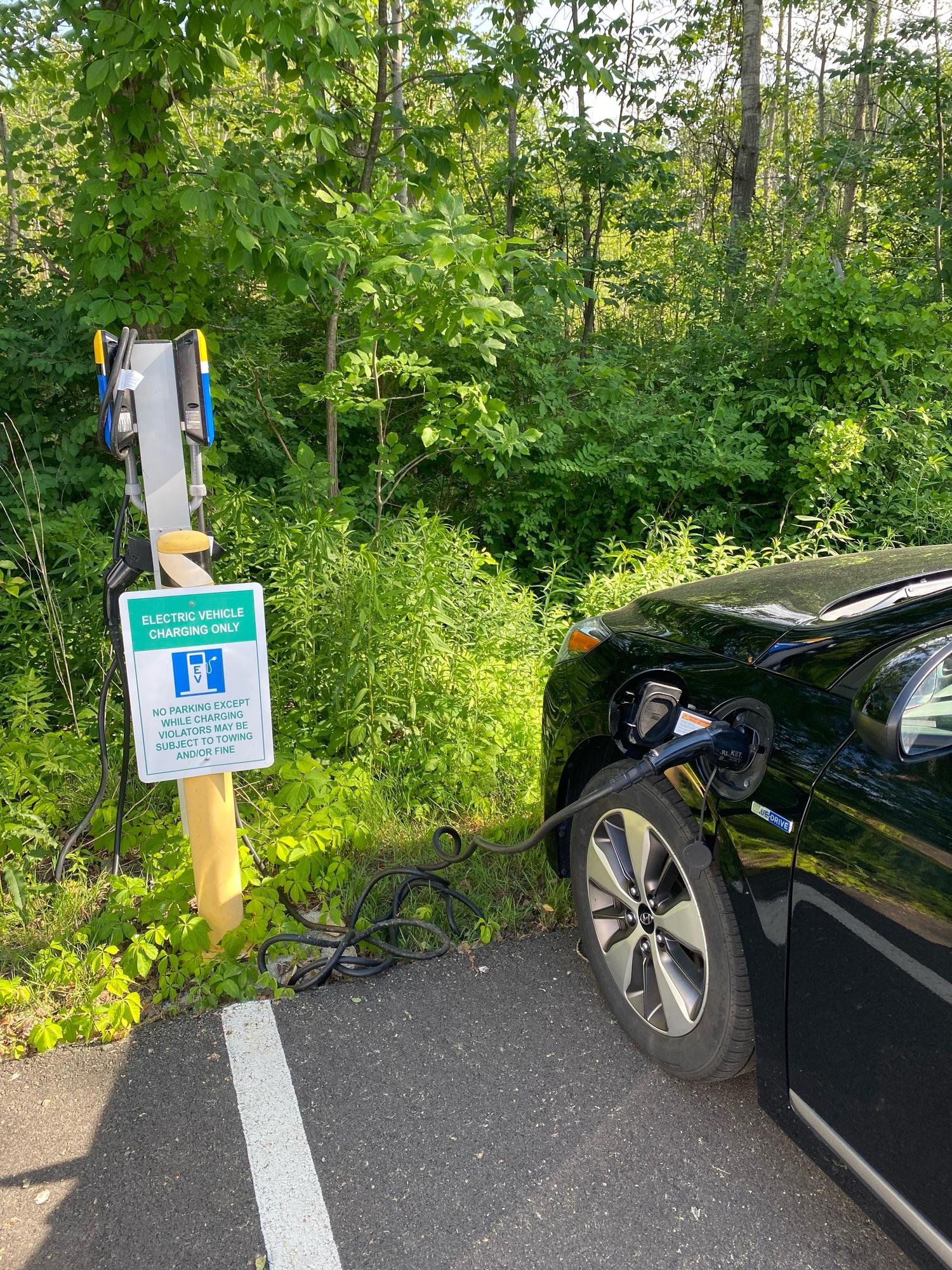 Niskayuna Branch Library | Niskayuna, NY | EV Station