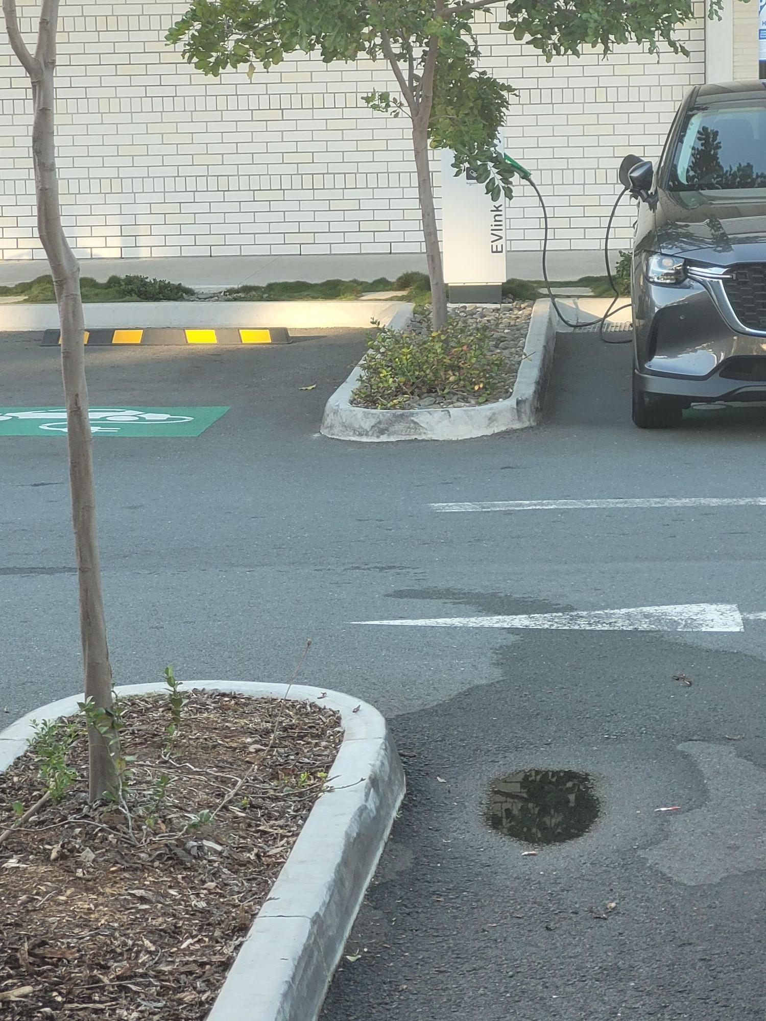 Newport Marketplace - IGA Newport | Newport, QLD | EV Station