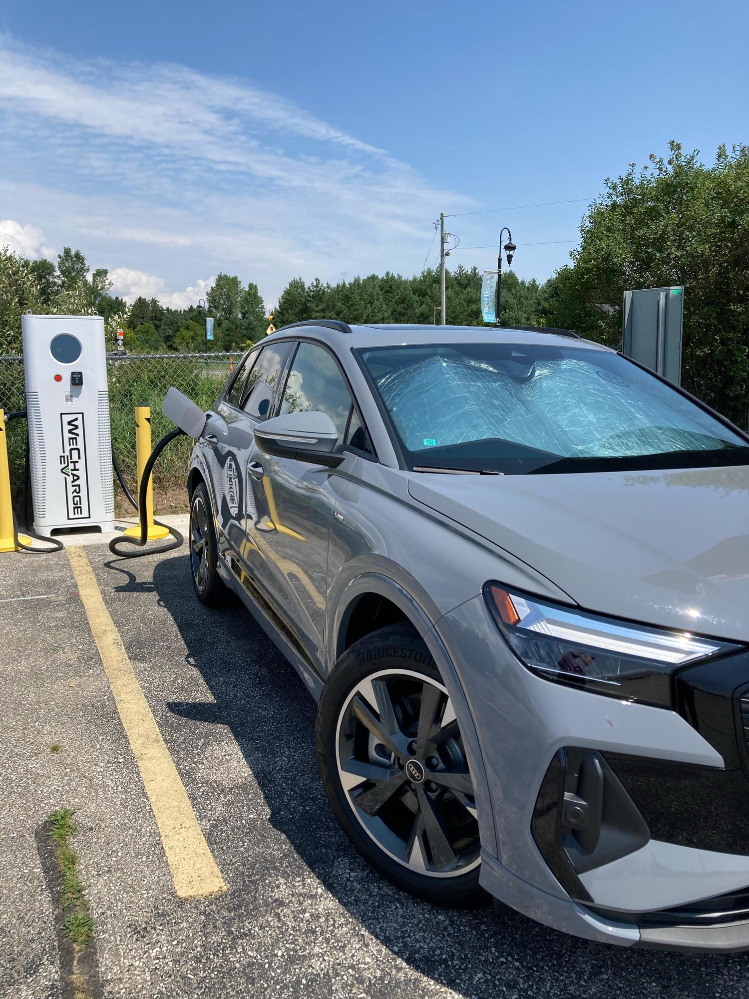 West Branch Ace Hardware | West Branch, MI | EV Station