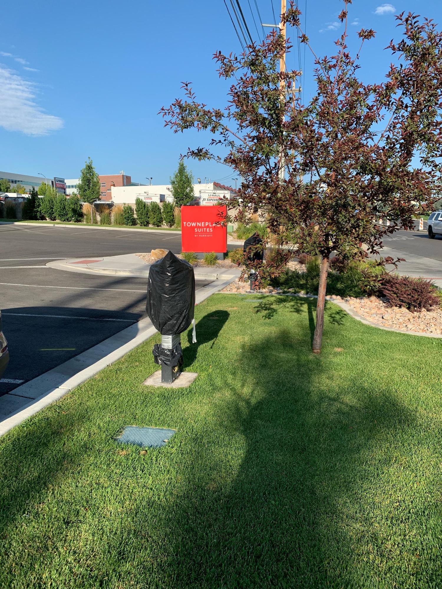 TownePlace Suites by Marriott Salt Lake City Murray | Murray, UT | EV ...