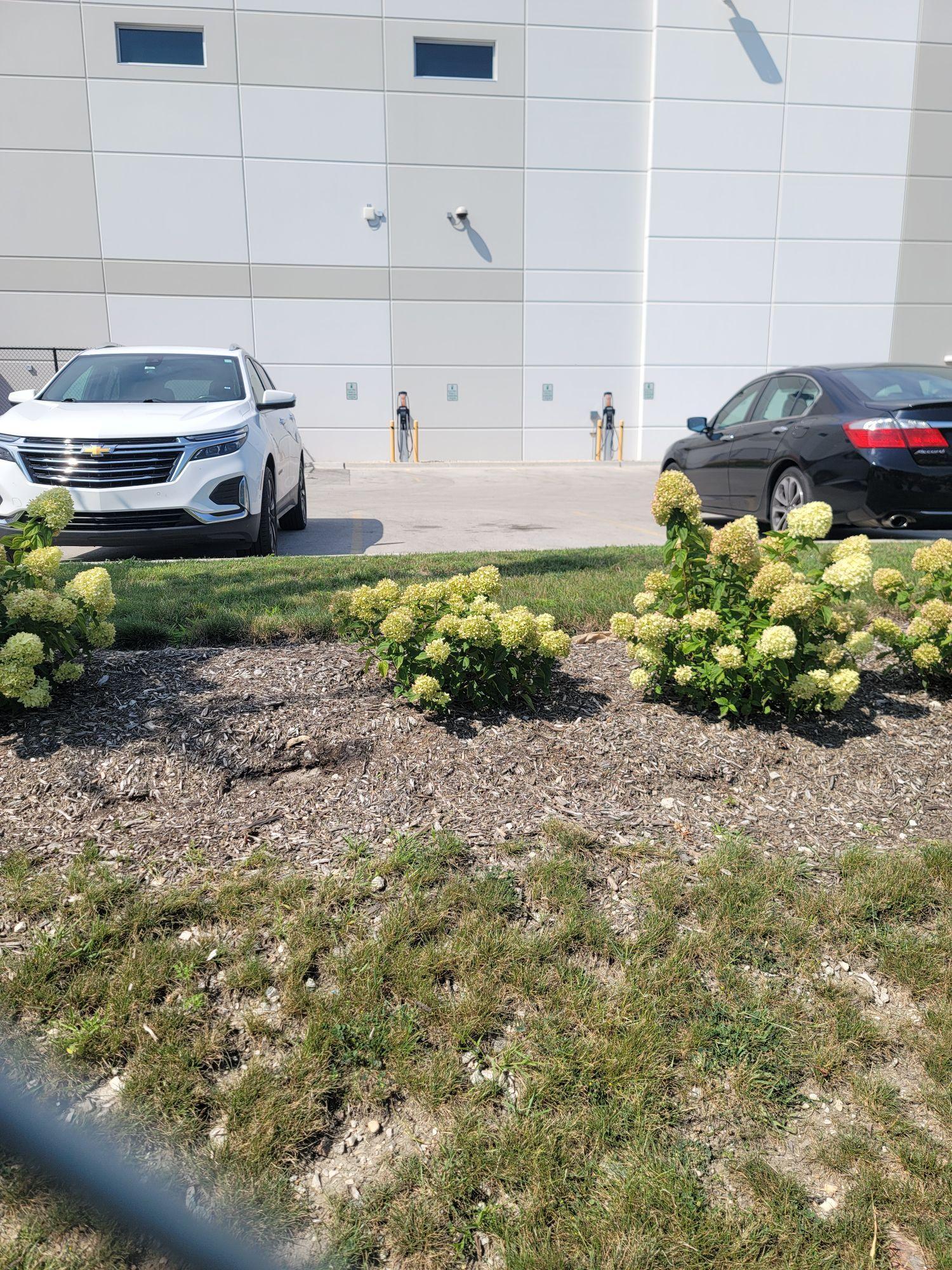 Target Sortation Center | Chicago, IL | EV Station