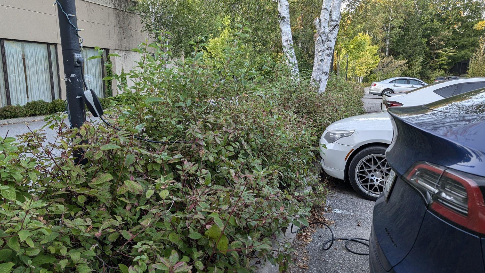 Pinestone Resort Conference Centre & Golf Course | 4252 Haliburton ...