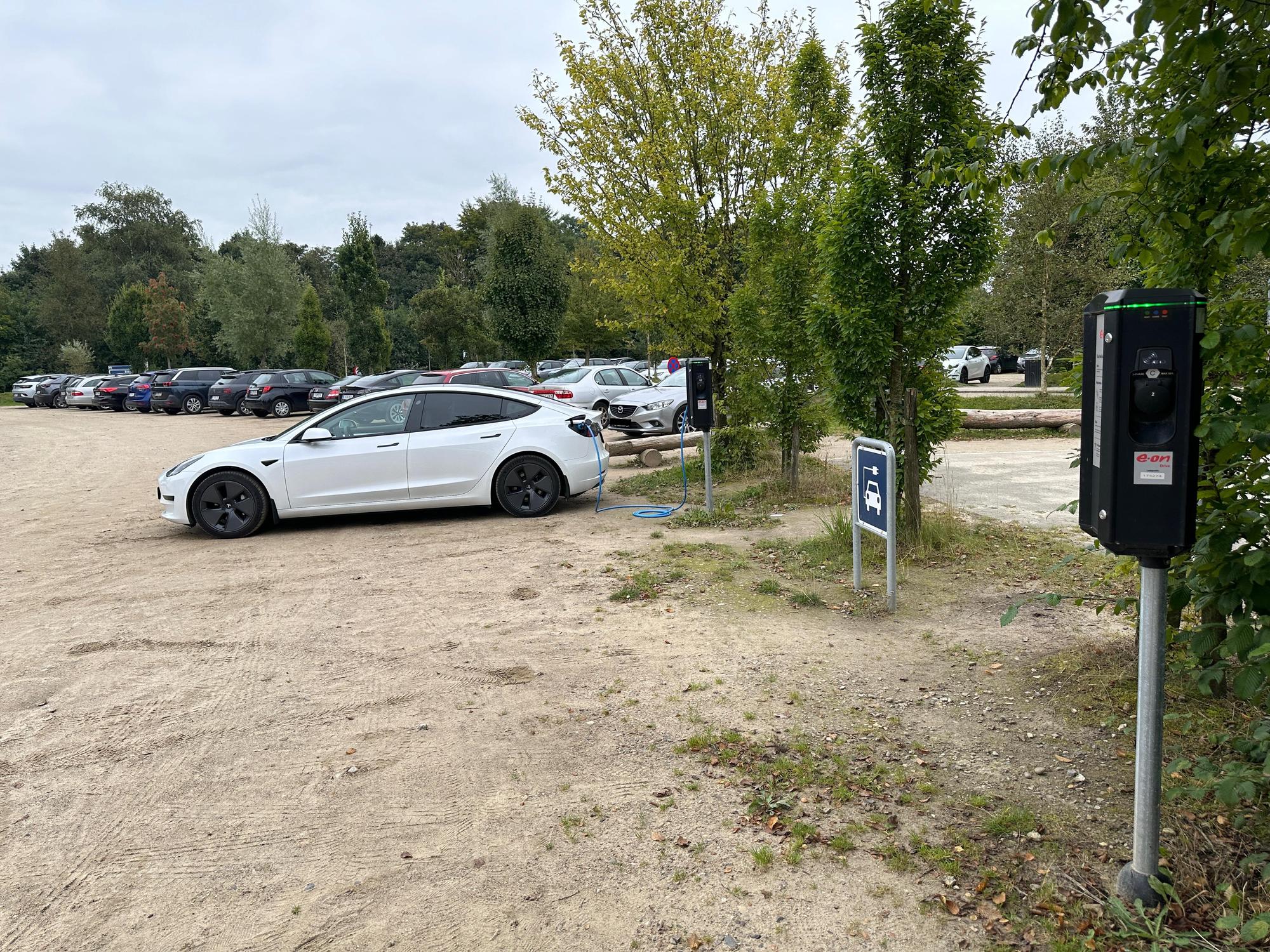 Givskud Zoo P3 | Løveparkvej 3 (P1) I parken, Parkeringsplads ...