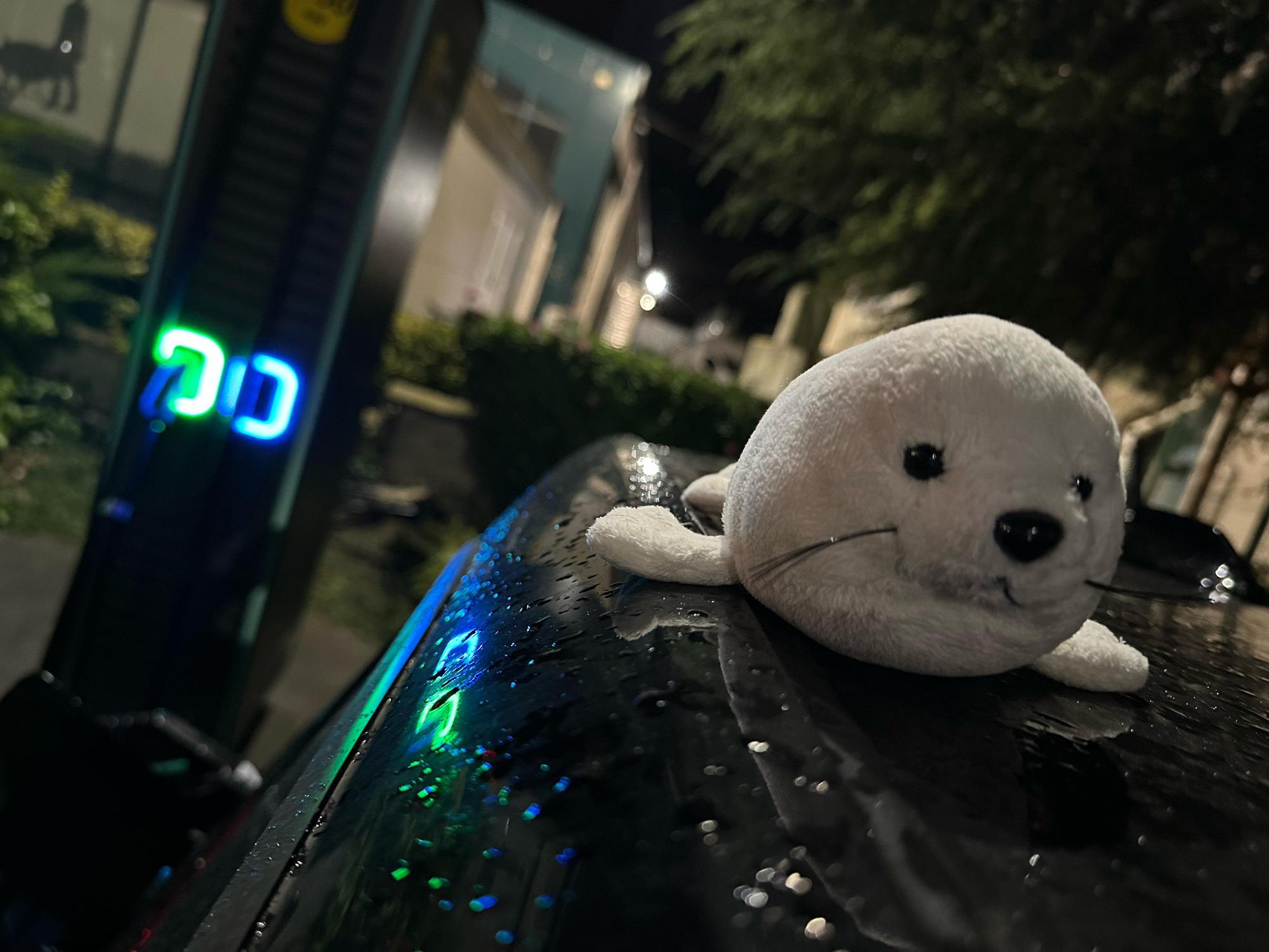 FINES - Masterhaus Burgas | Burgas, Burgas | EV Station