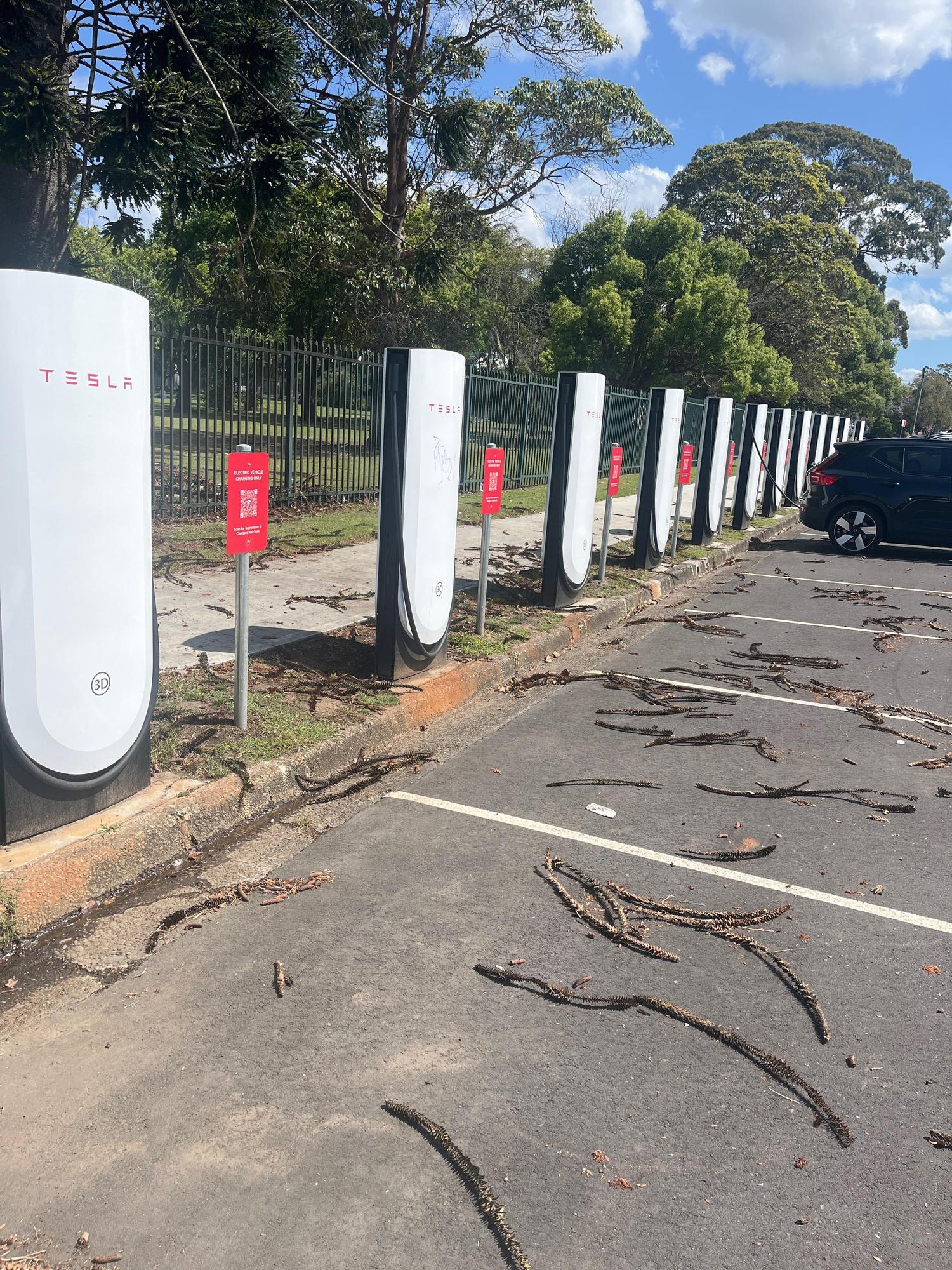 Taree Park | Taree, NSW | EV Station
