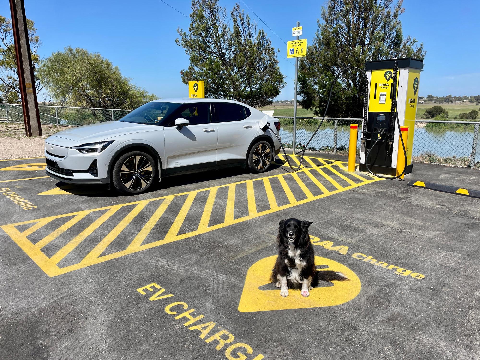 Cosi's TAILEM BEND | Tailem Bend, SA | EV Station