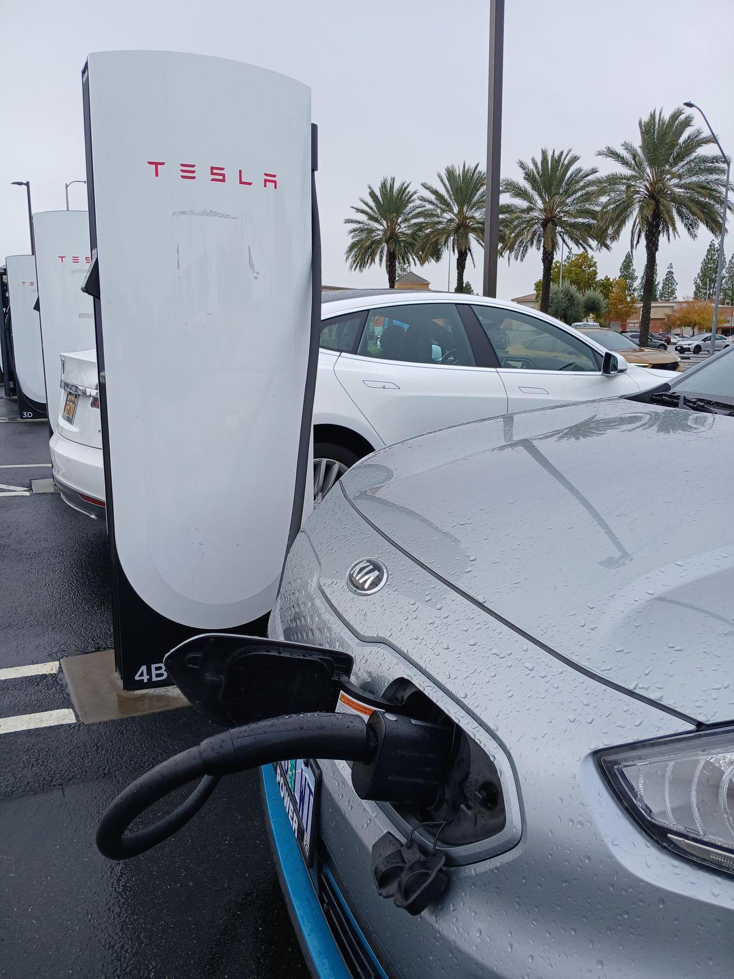 Roseville Ace Hardware | Roseville, CA | EV Station