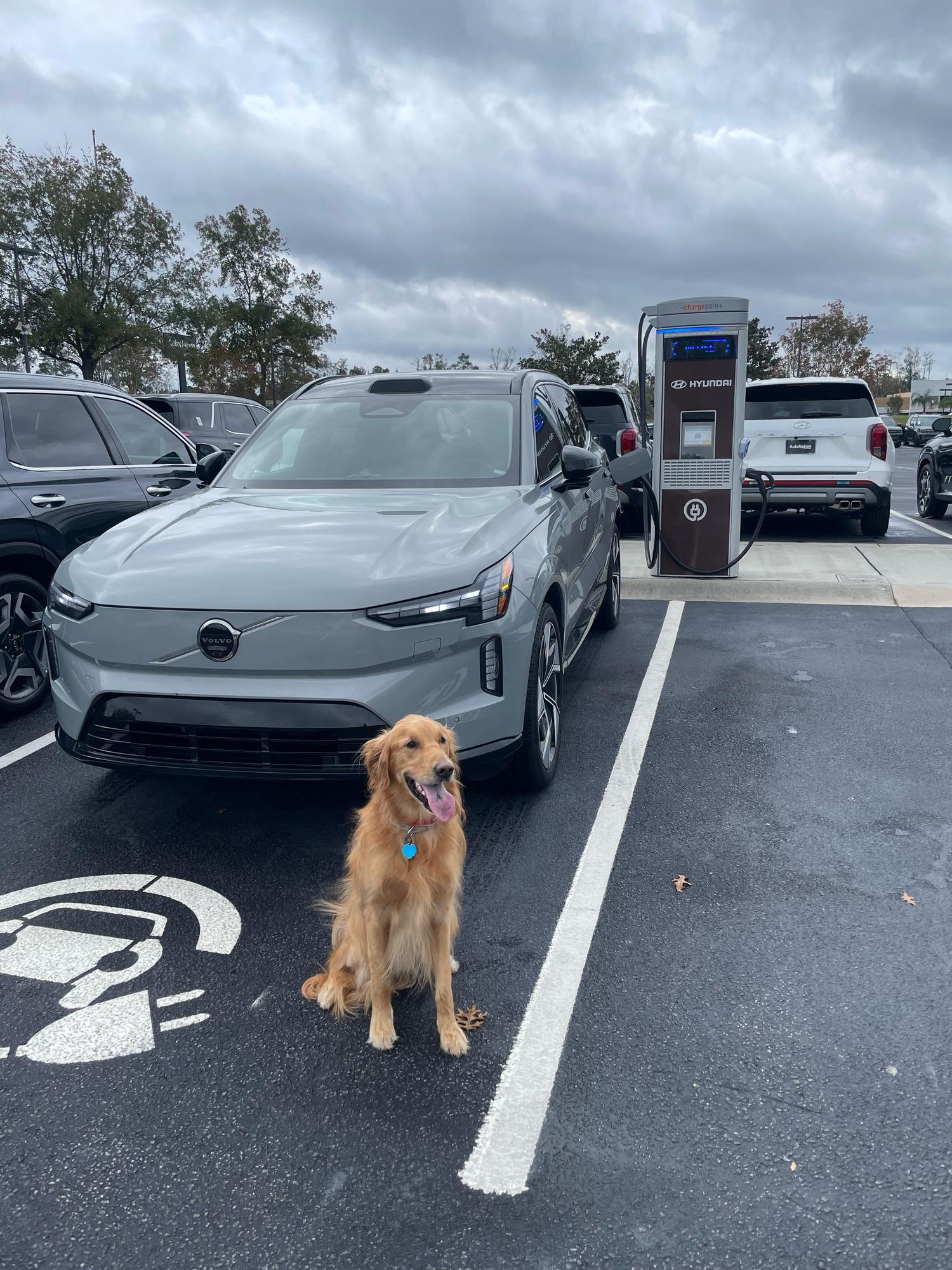 AutoNation Hyundai Hilton Head | Hardeeville, SC | EV Station