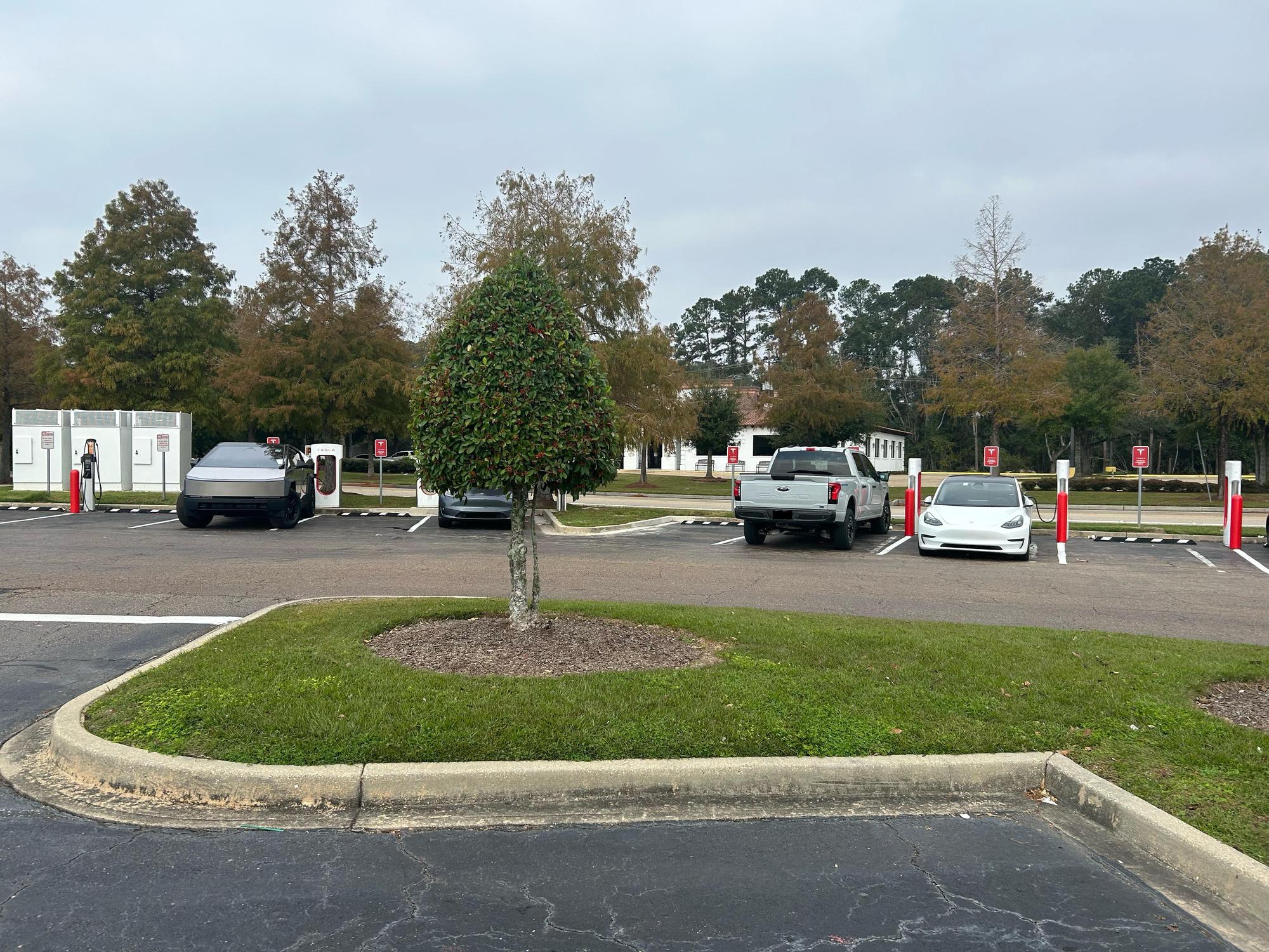 River Chase - Target | Covington, LA | EV Station