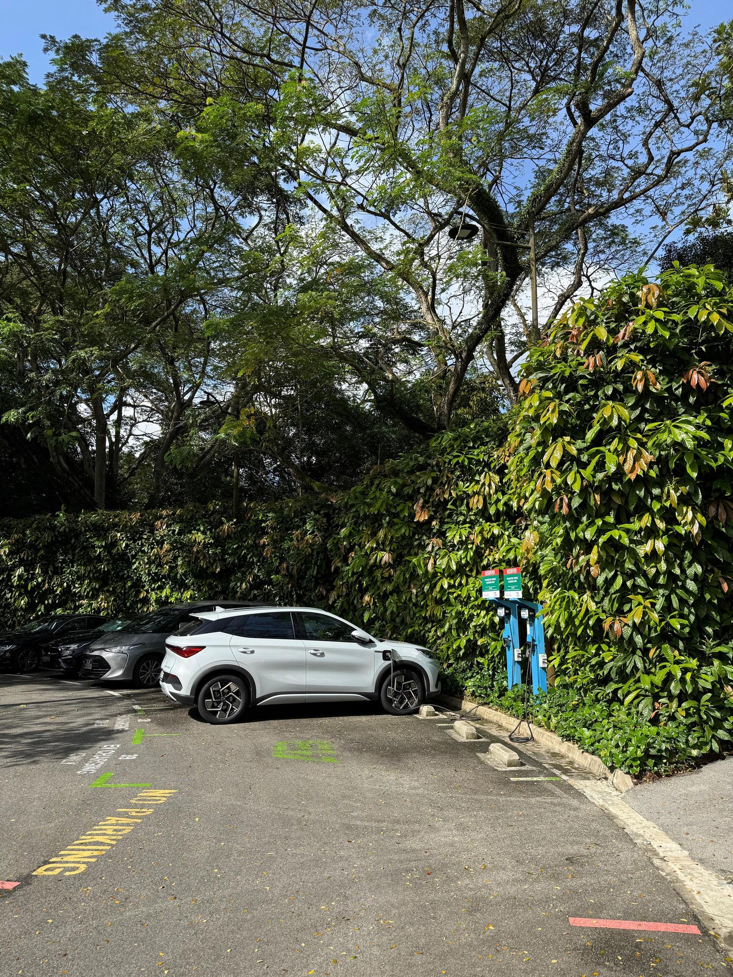 CDGE: Jacob Ballas Children’s Garden | Singapore Botanical Gardens ...