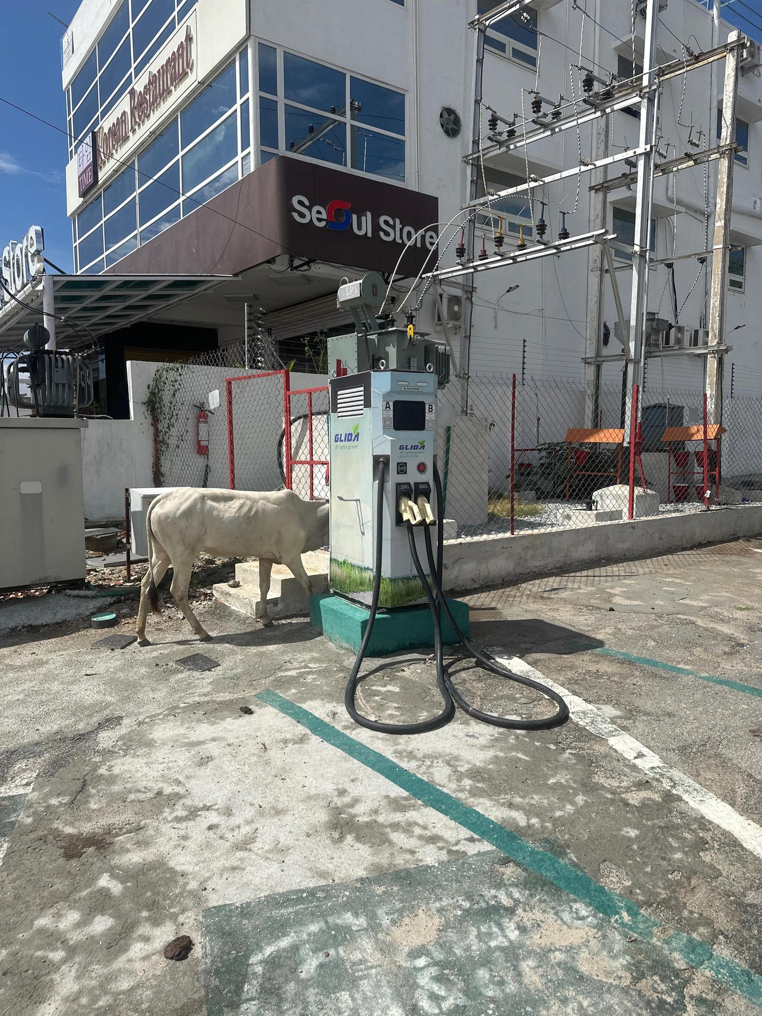 Hotel Vyshali | Penukonda, AP | EV Station