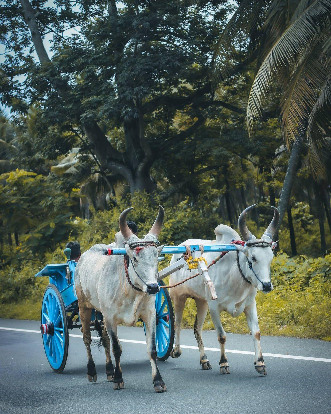 PSV EV POINT X One Plug EV 30 KW | Coimbatore, TN | EV Station