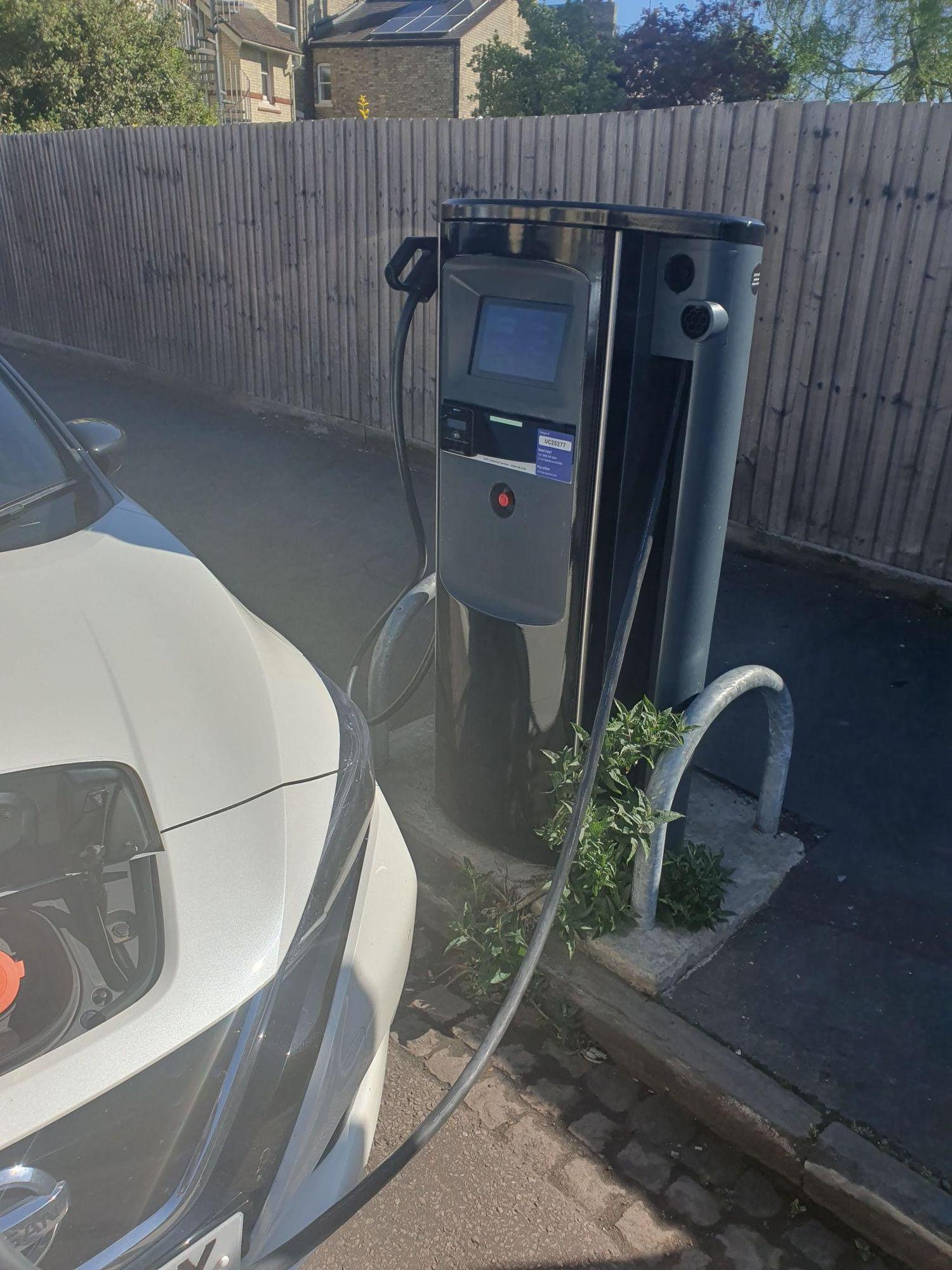 Cambridge Council Ferry Path | Cambridge Council Ferry Path, Cambridge ...