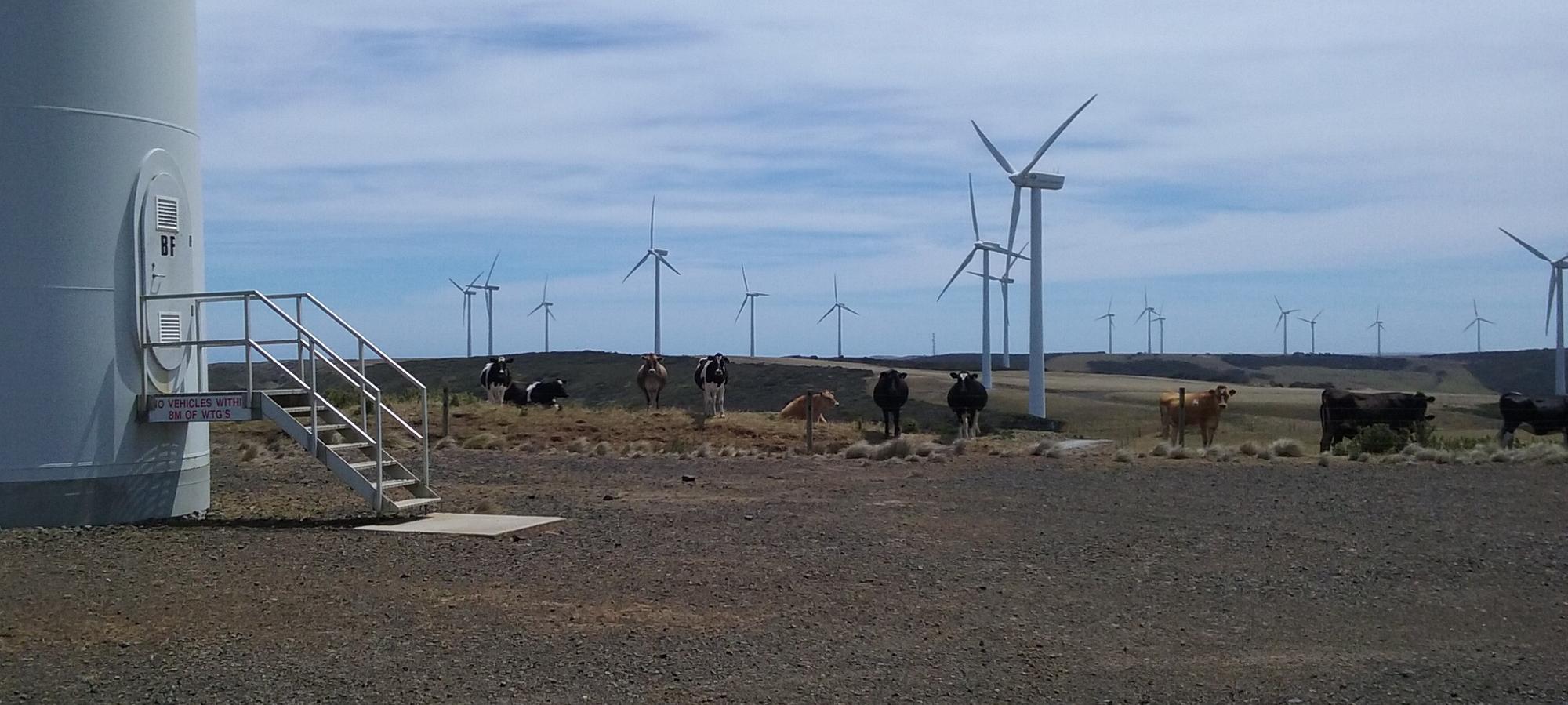 Woolnorth Tours | Woolnorth, TAS | EV Station