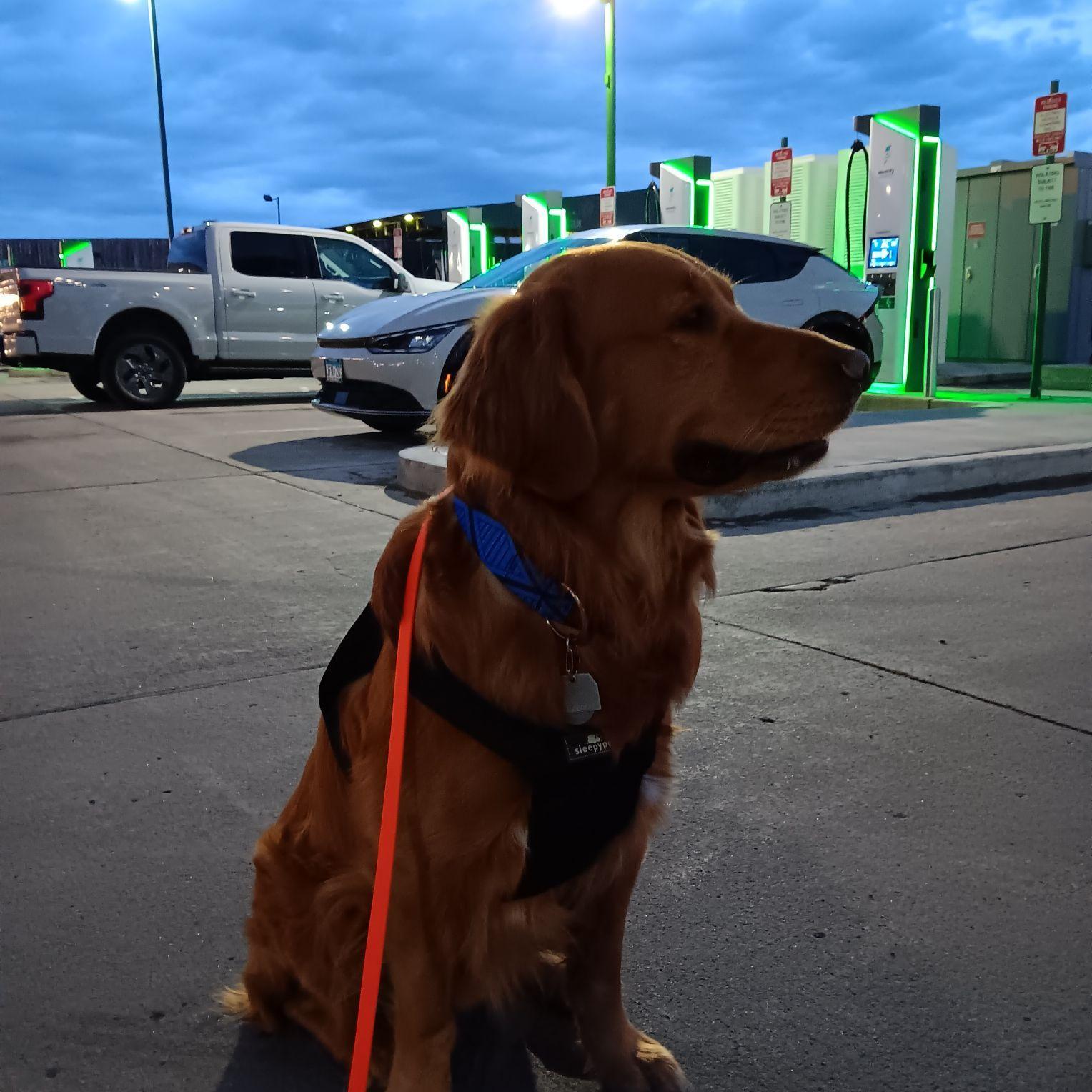 Menards Bismarck | Bismarck, ND | EV Station
