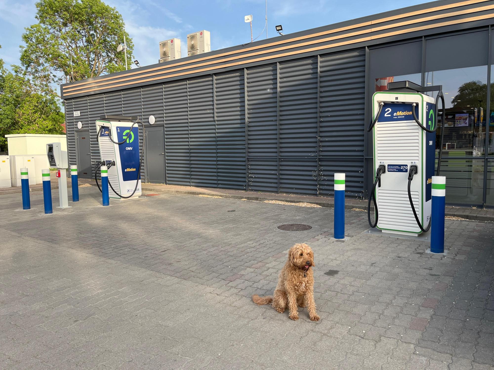 OMV Békéscsaba | Békéscsaba, Szarvasi út 16-18, 5600, Hungary | EV Station