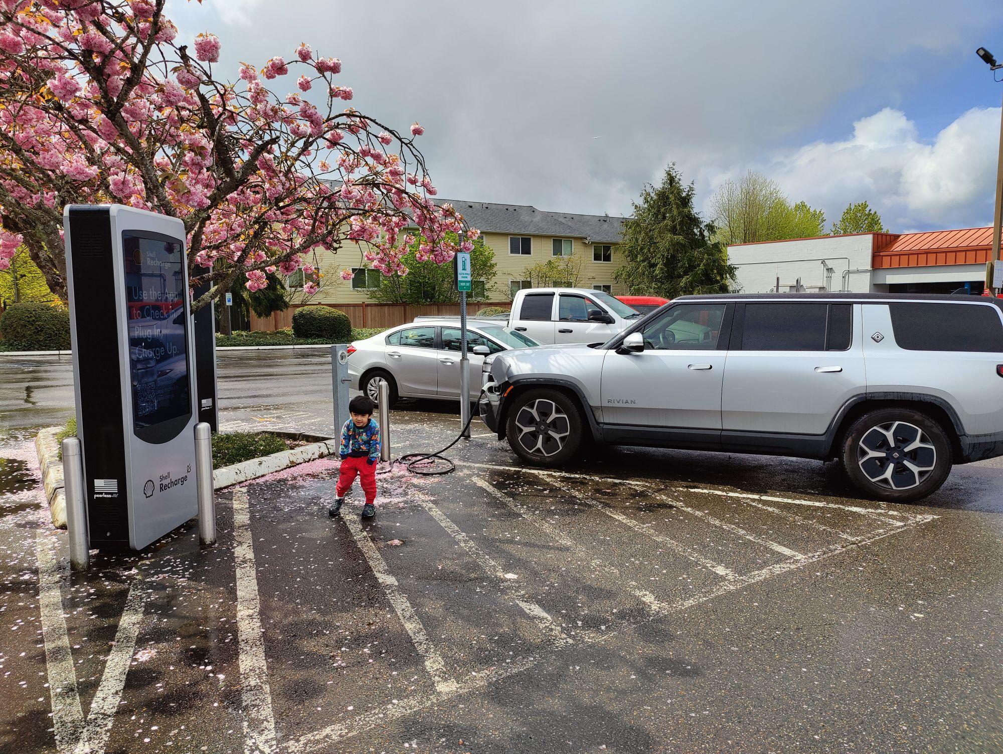 Safeway | Snohomish, WA | EV Station
