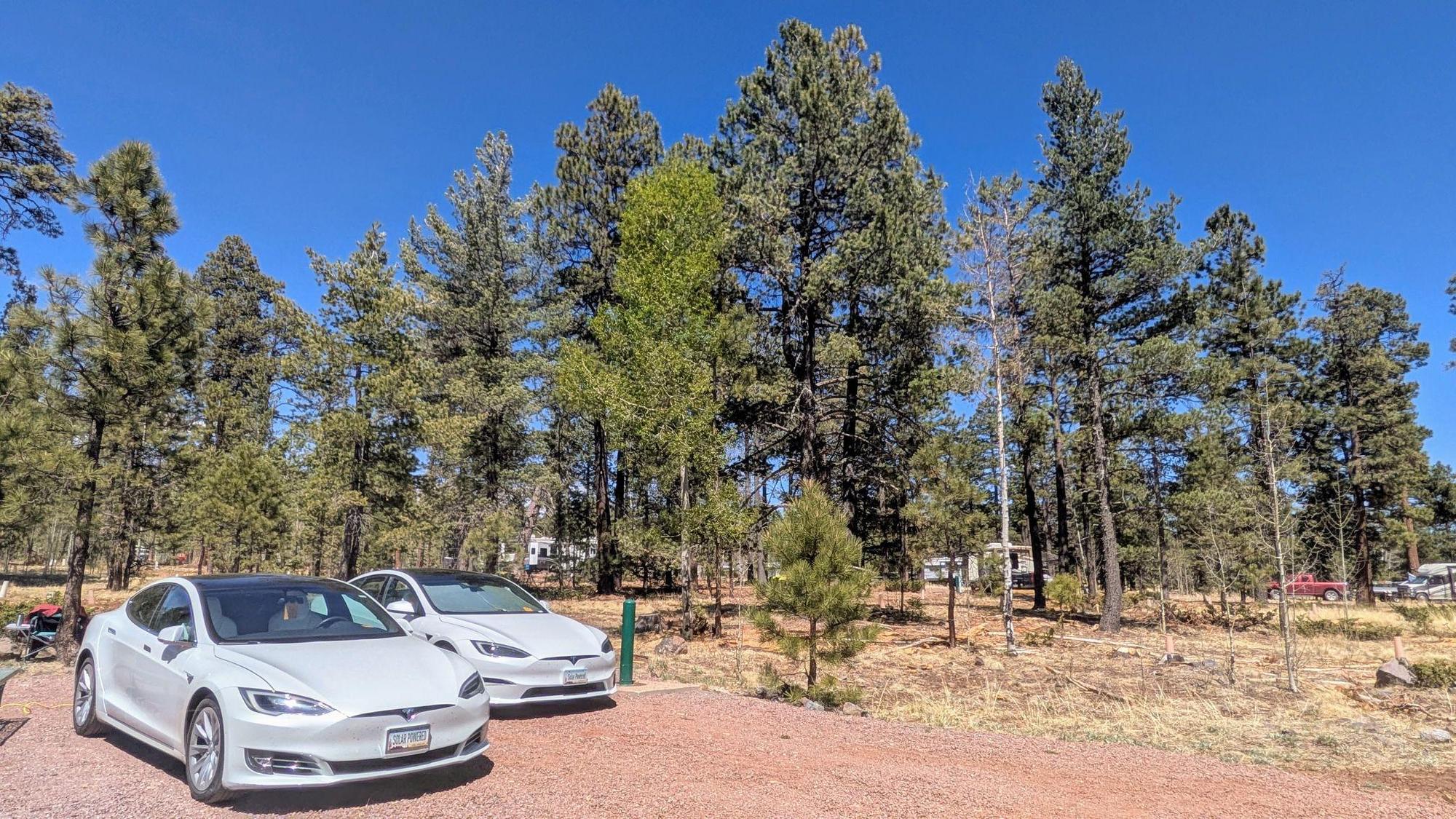 Apache Trout Campground | Three Forks, AZ | EV Station