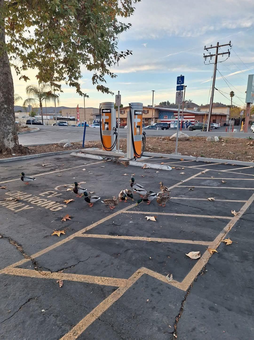 Lindo Lake | Lakeside, CA | EV Station