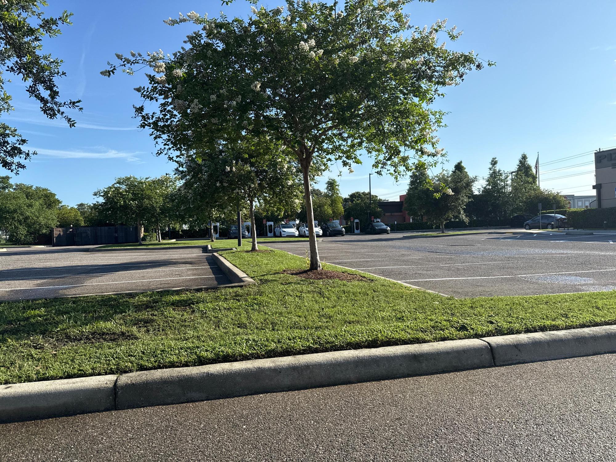 Mellow Mushroom Lakeland | Lakeland, FL | EV Station