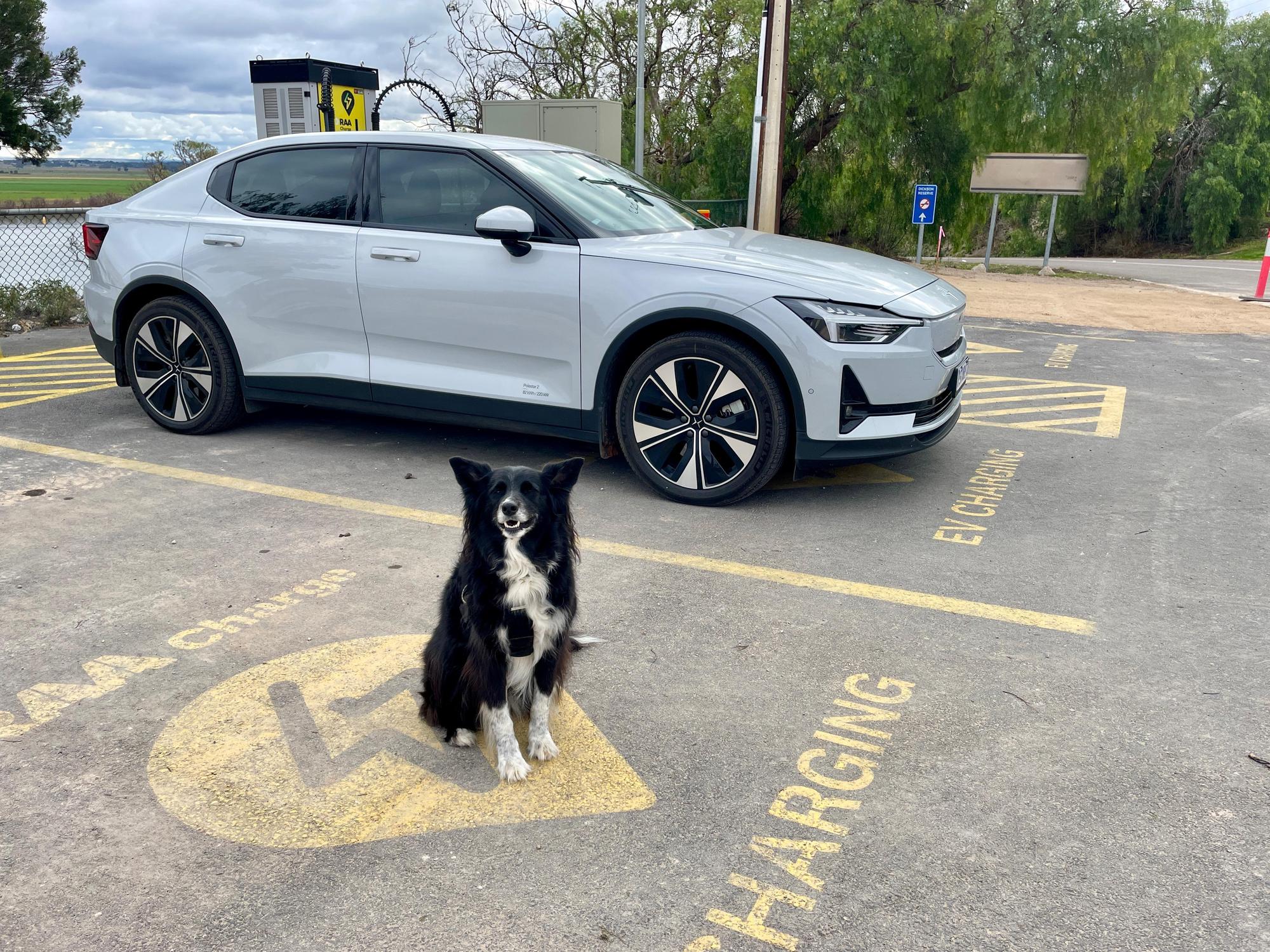 Cosi's TAILEM BEND | Tailem Bend, SA | EV Station