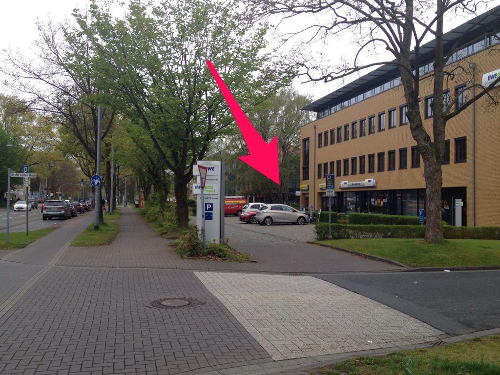 Ewe Oldenburg Cloppenburger Strae