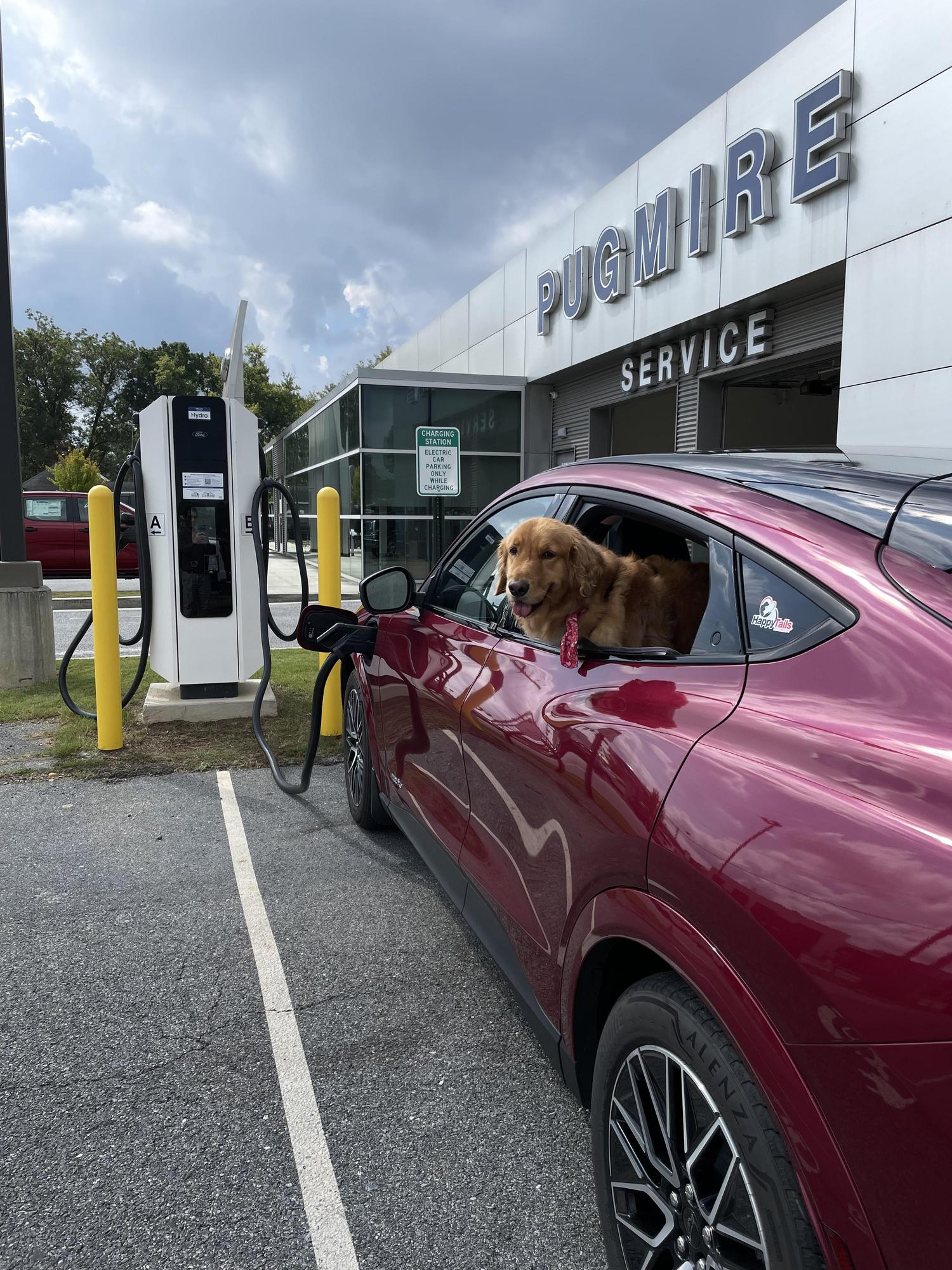 Pugmire Ford of Cartersville | Cartersville, GA | EV Station