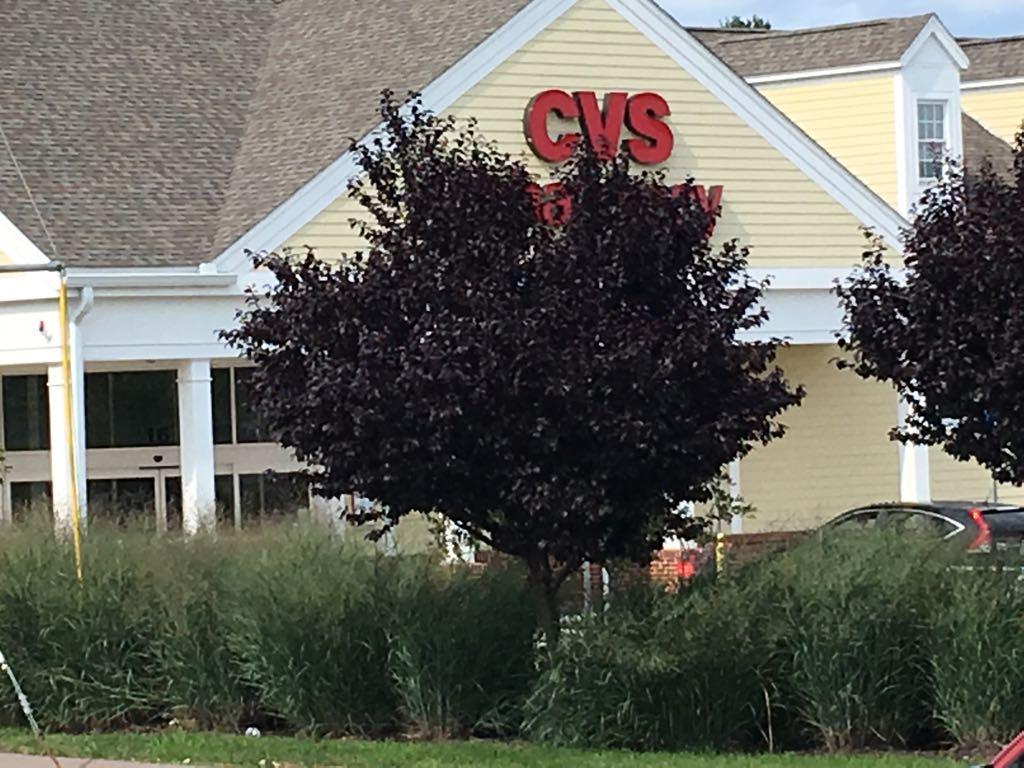 Chelmsford Public Library | Chelmsford, MA | EV Station