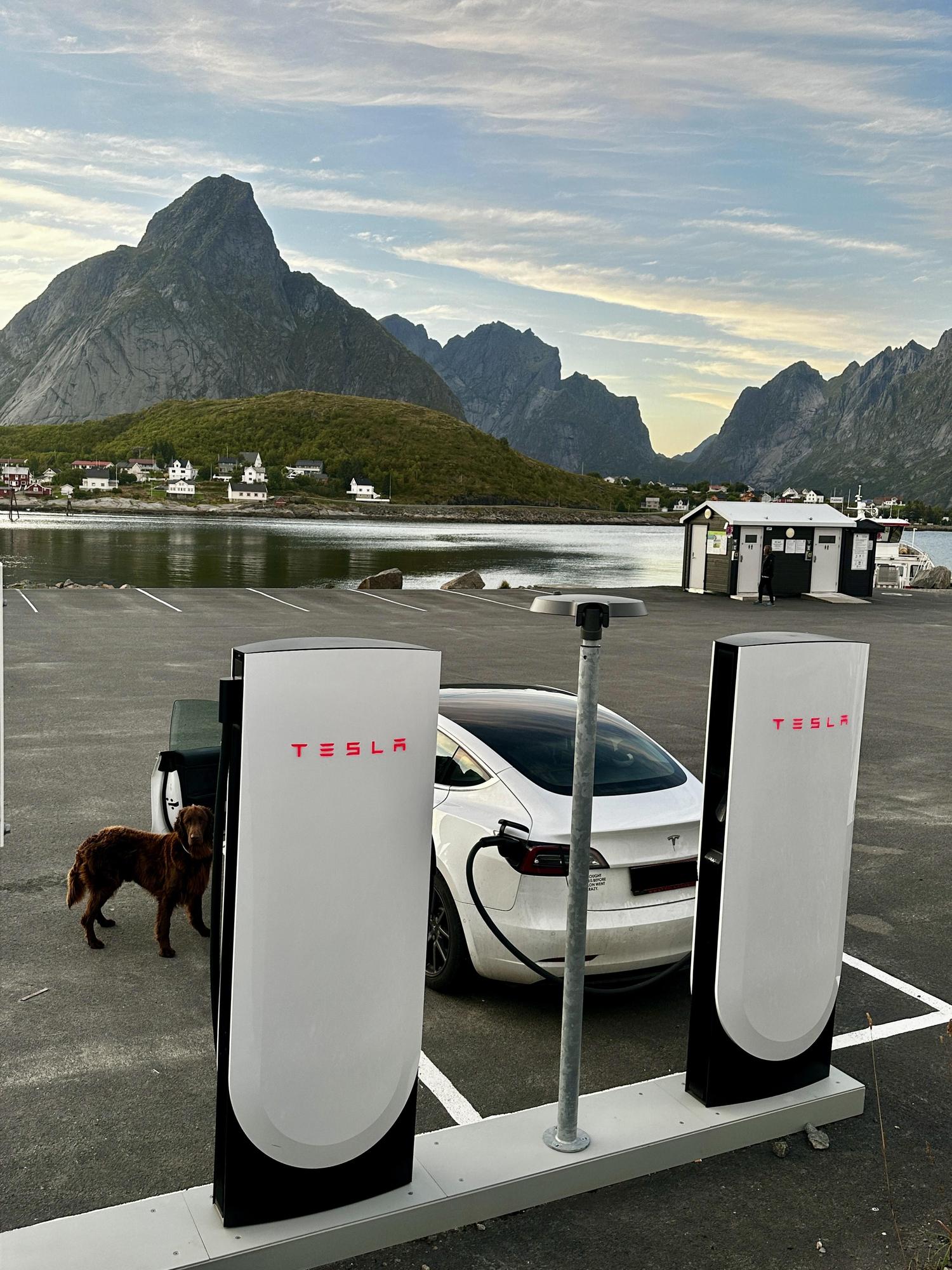 Sverdrups Vei | Sverdrups Vei 7, 8390 Reine, Norway | EV Station