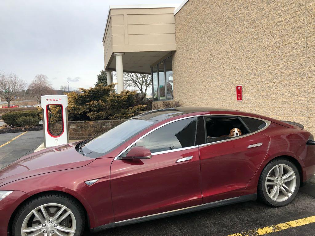 Tesla Service Center Paramus | Paramus, NJ | EV Station