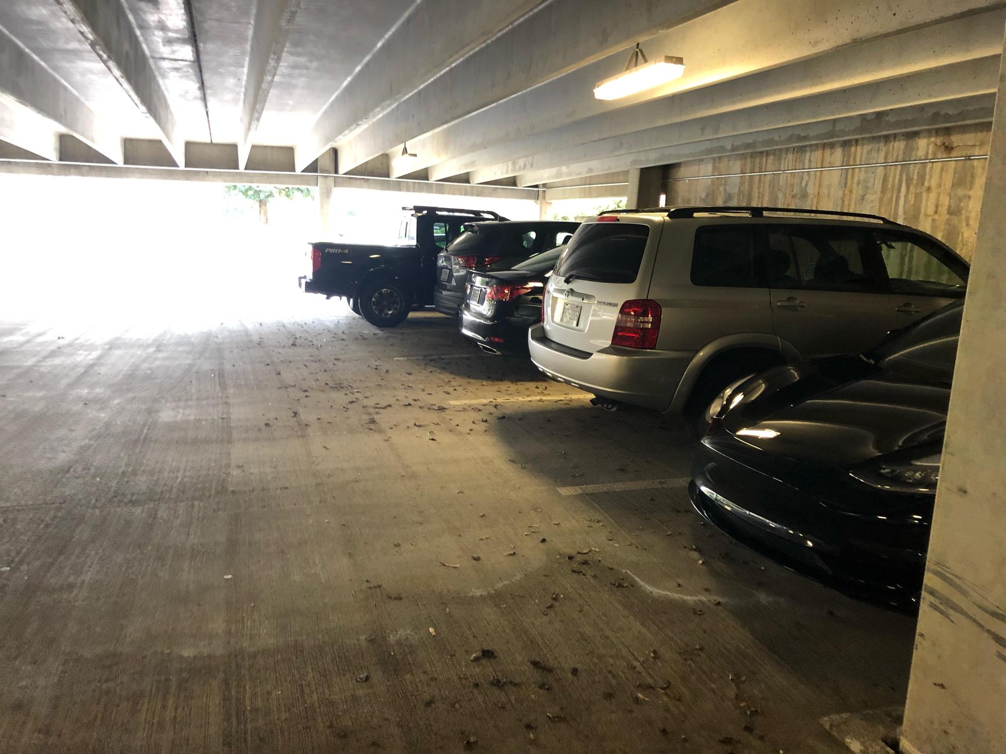 Glenwood Parking Garage | Raleigh, NC | EV Station