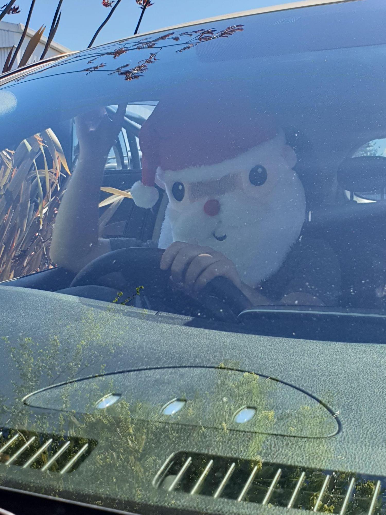 Temuka New World | Temuka, Canterbury | EV Station