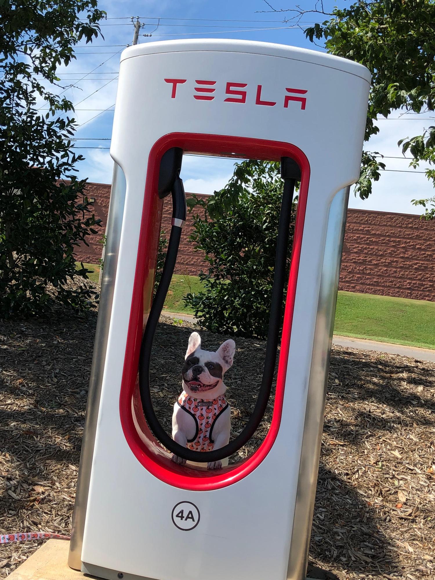 The Mall at Barnes Crossing | Tupelo, MS | EV Station