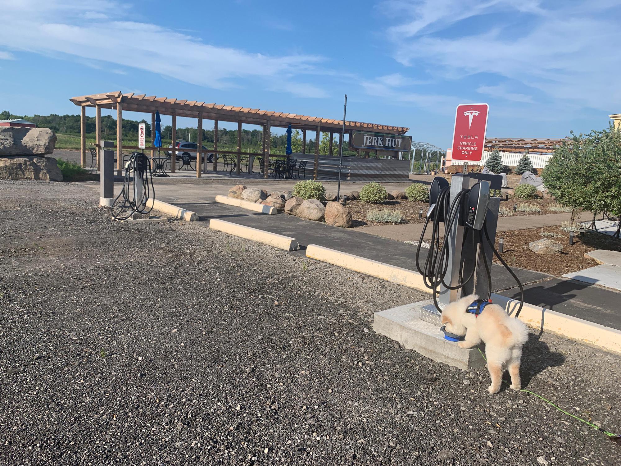 Royal DeMaria Winery | Lincoln, ON | EV Station