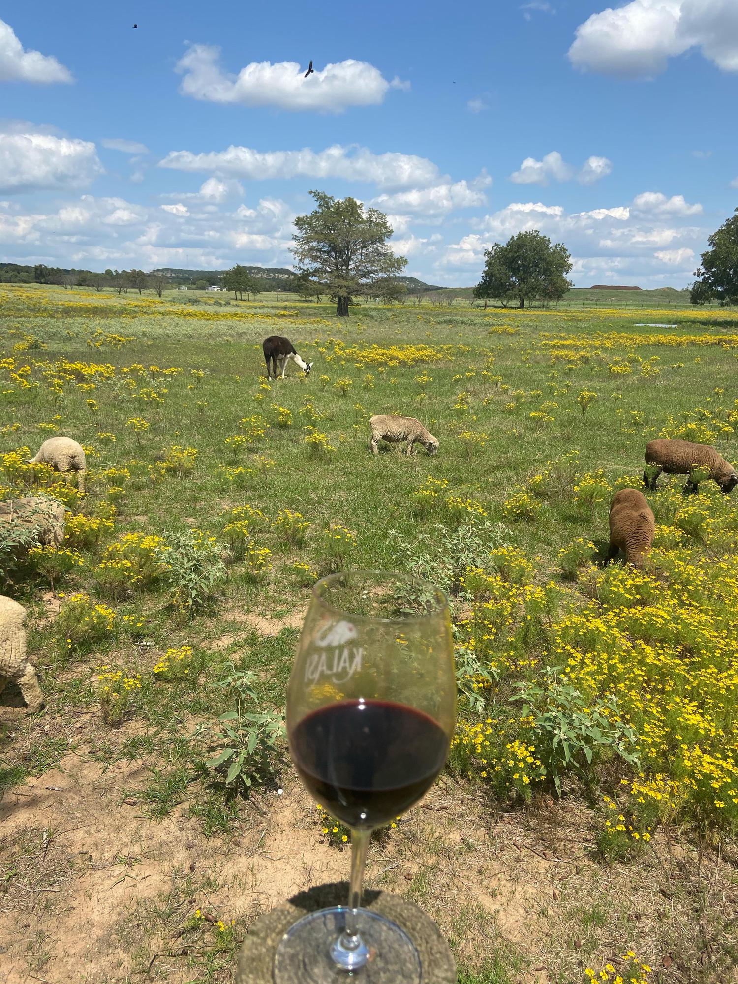 Kalasi Cellars | Fredericksburg, TX | EV Station