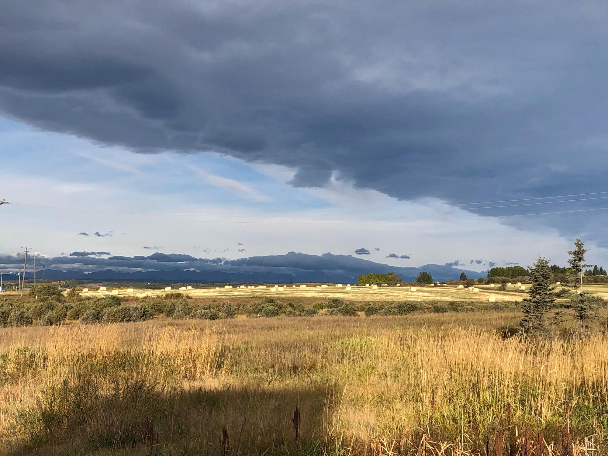 Petro-Canada Calgary | Calgary, AB | EV Station