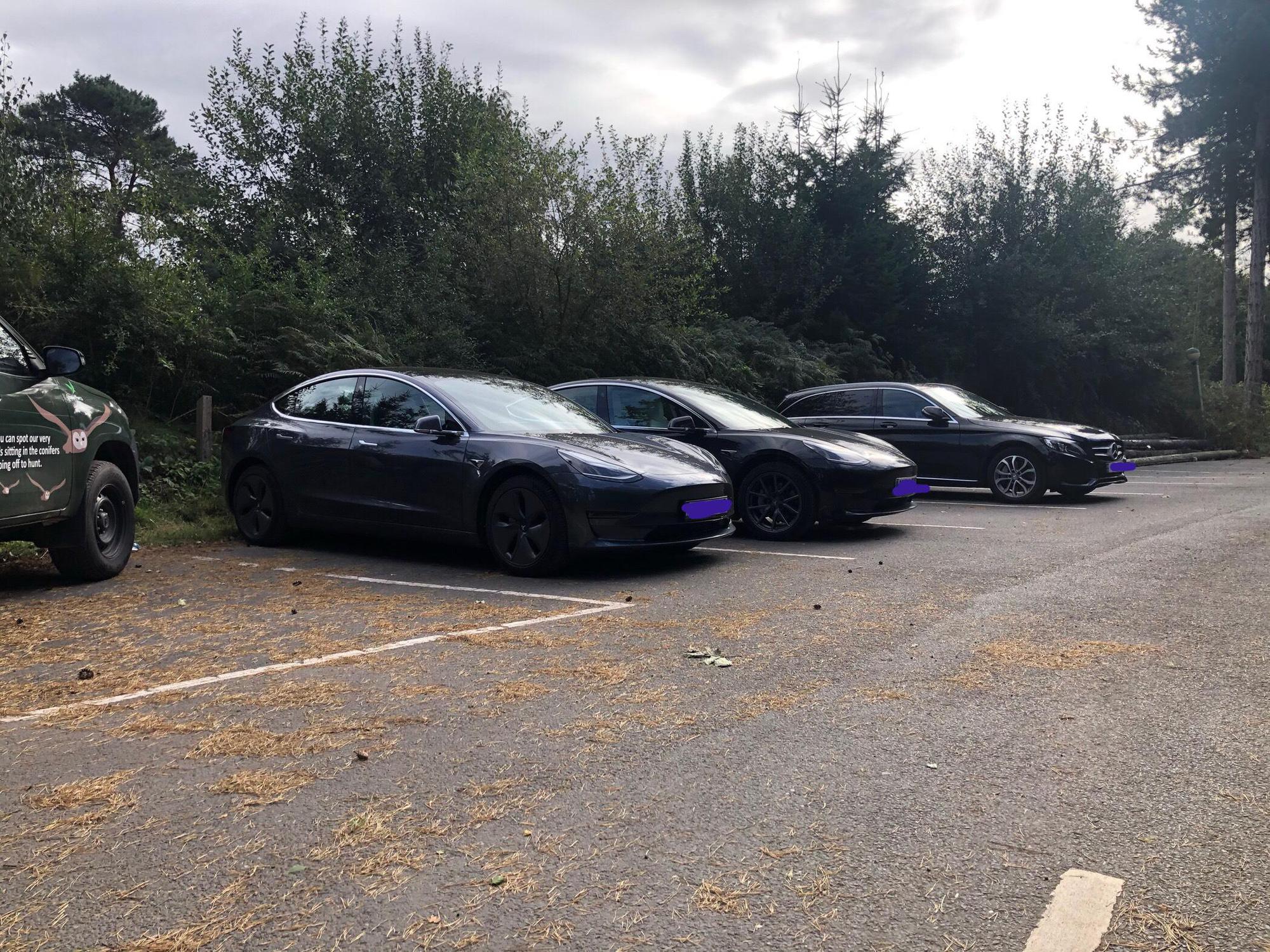 Center Parcs Sherwood Forest | Rufford, Newark NG22 9DN, UK | EV Station